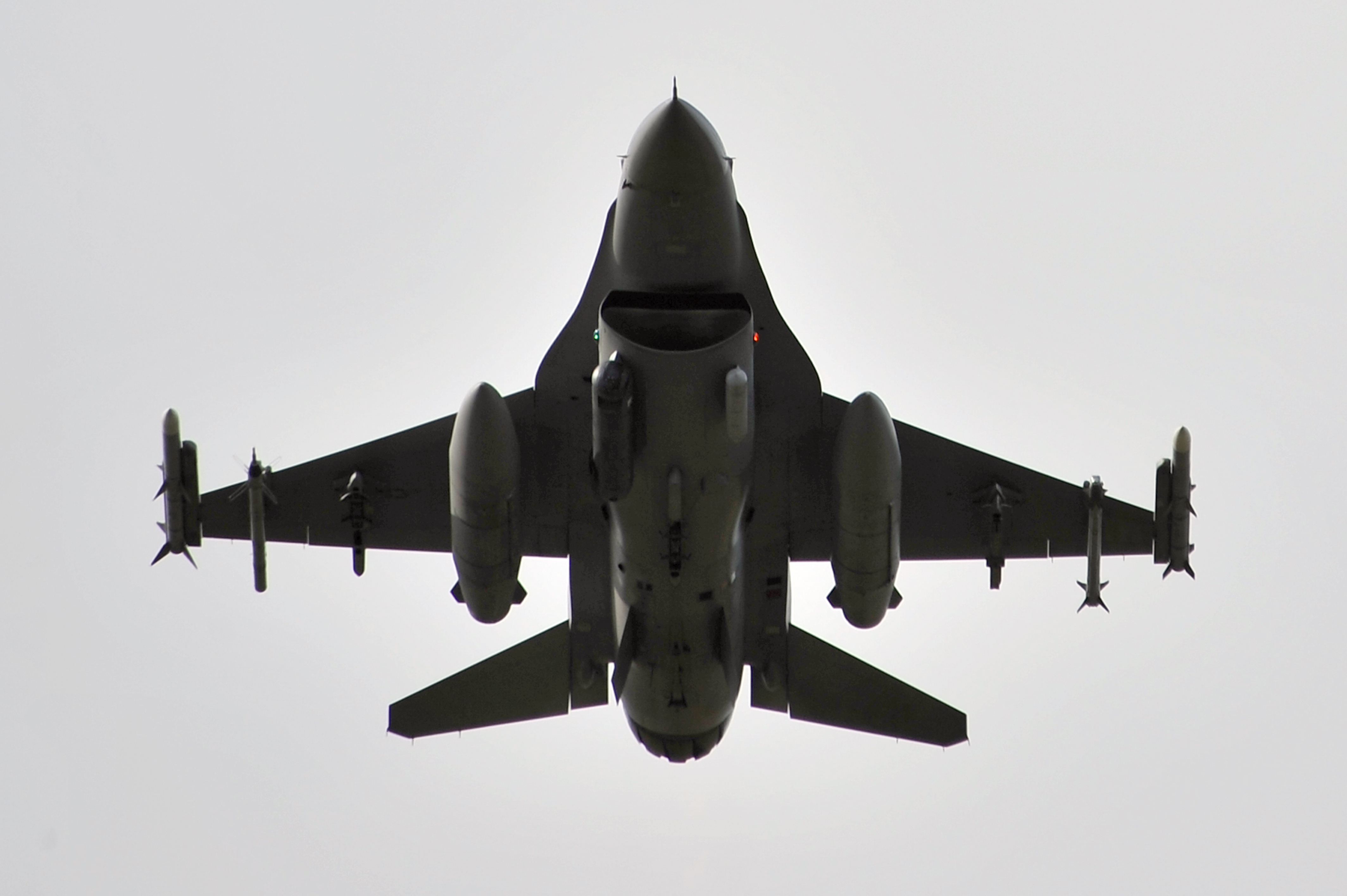 Northern Edge 2009 is 'flyin' by' > Pacific Air Forces > Article Display