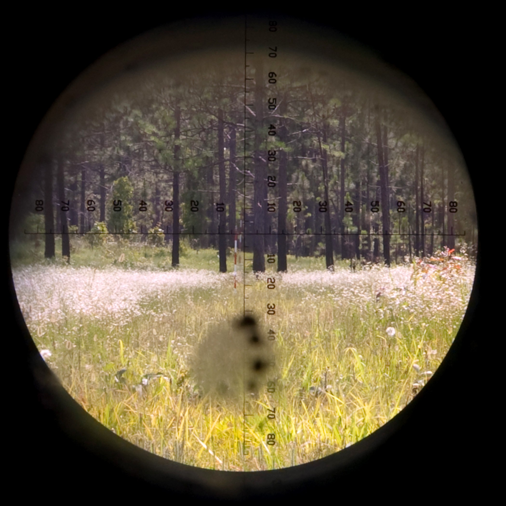 Paratroopers see this view thru the sight of an 81mm mortar during the ...