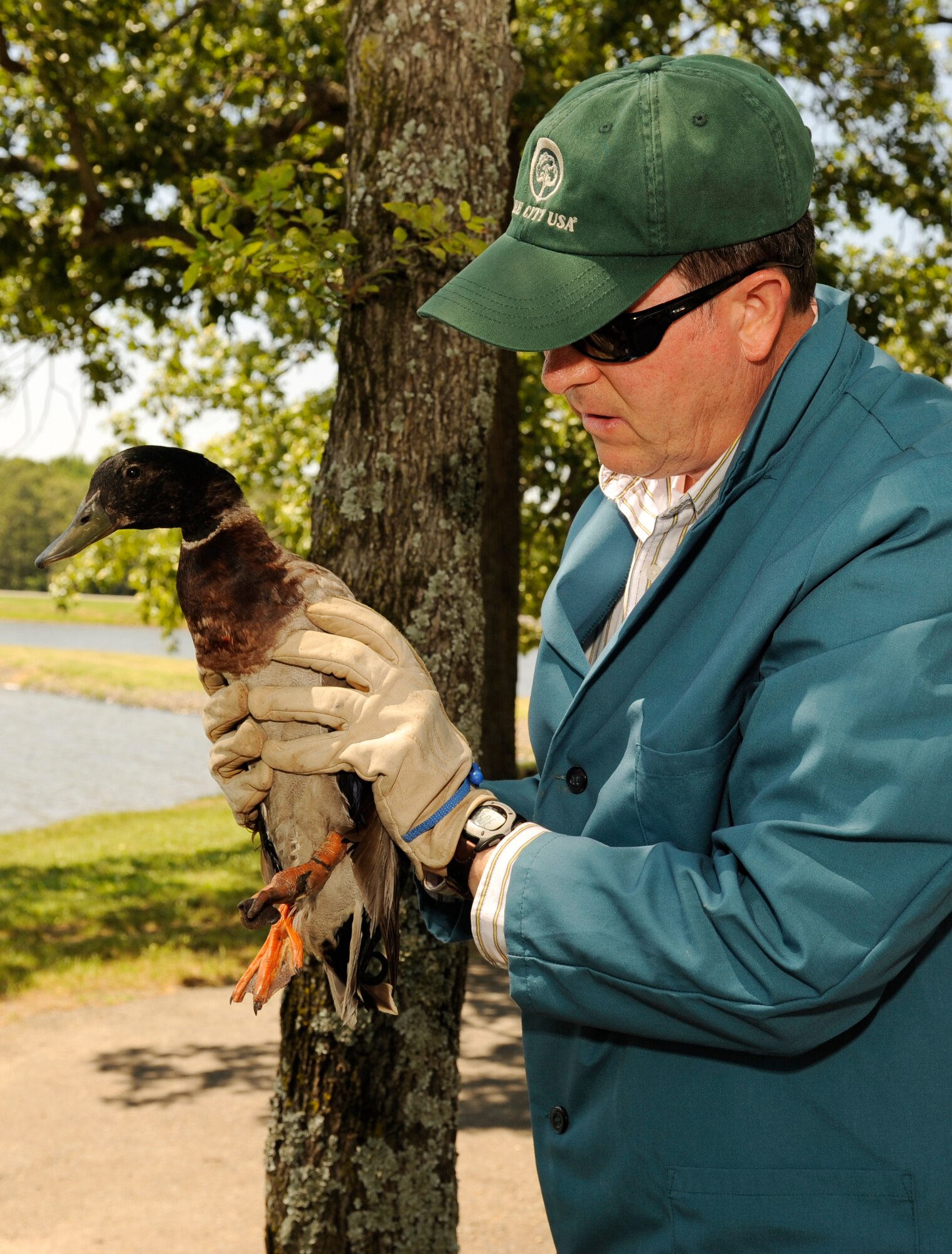 Natural Resources Manager saves injured duck > Little Rock Air Force ...
