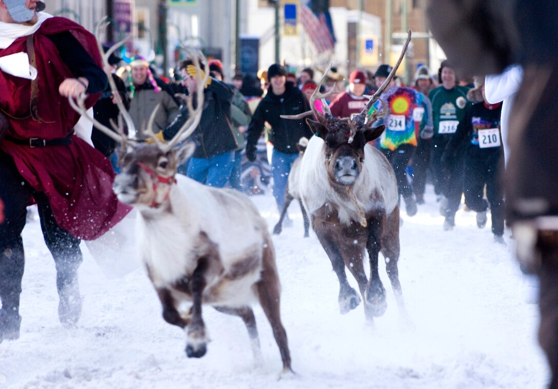 Reindeer run