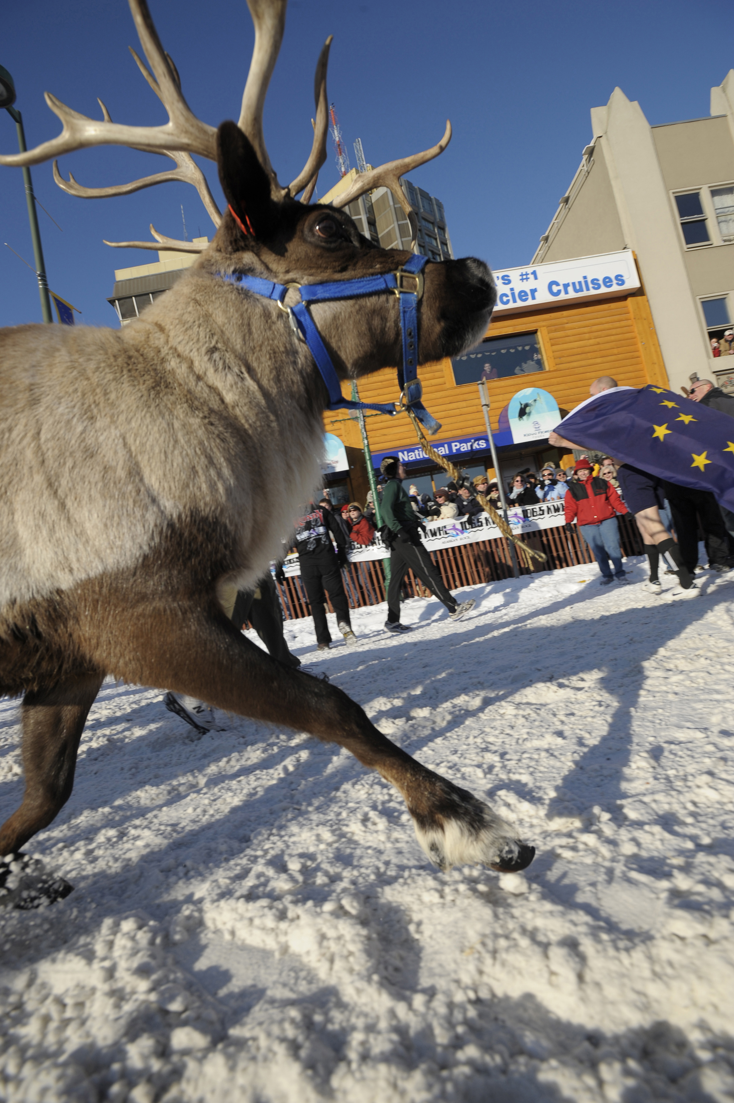 Reindeer run > Joint Base Elmendorf-Richardson > News