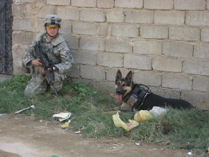 Kadena Military Working Dog team saves lives in Iraq > Pacific Air ...