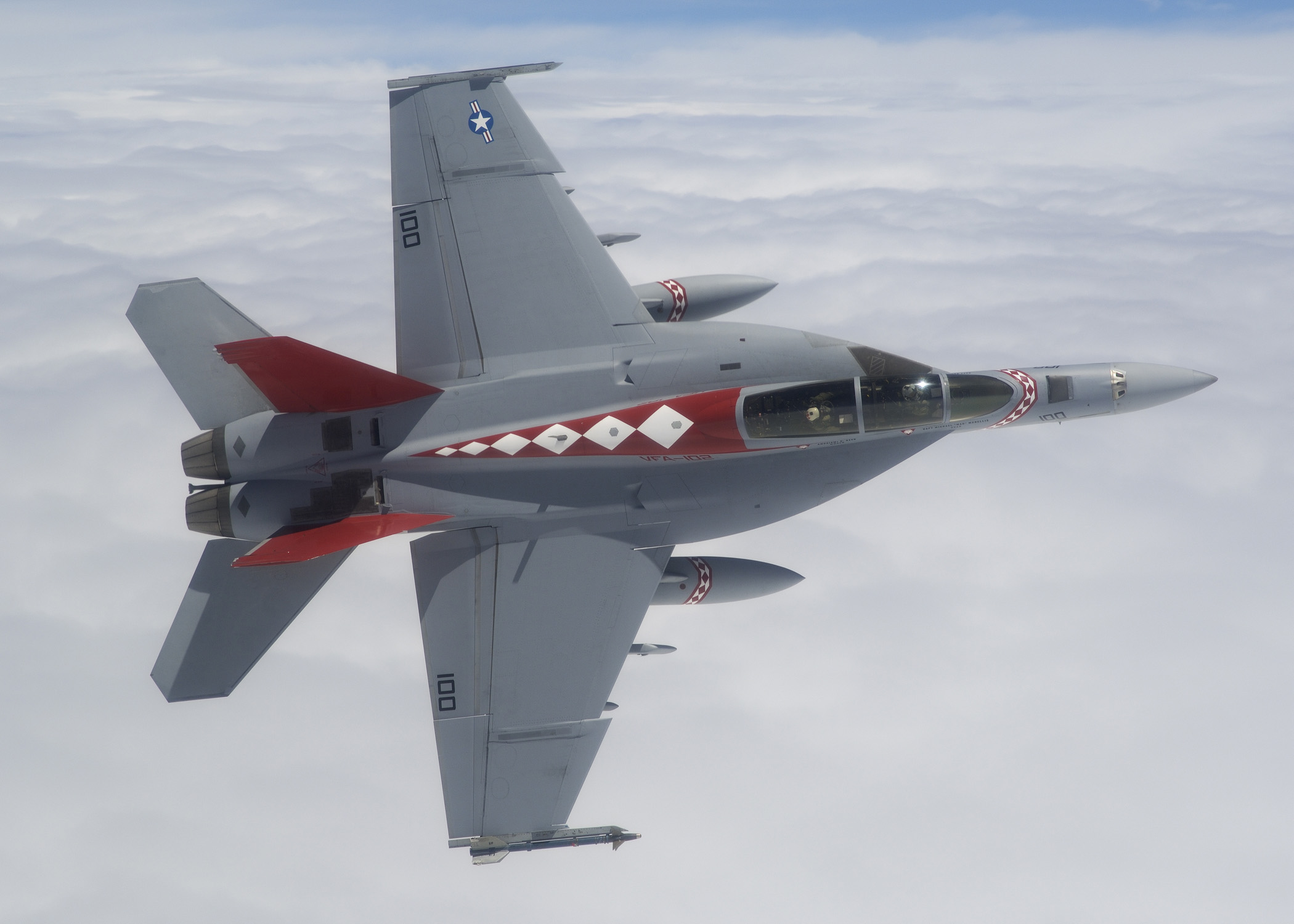 Shogun - Hornets, Eagles and Raptors