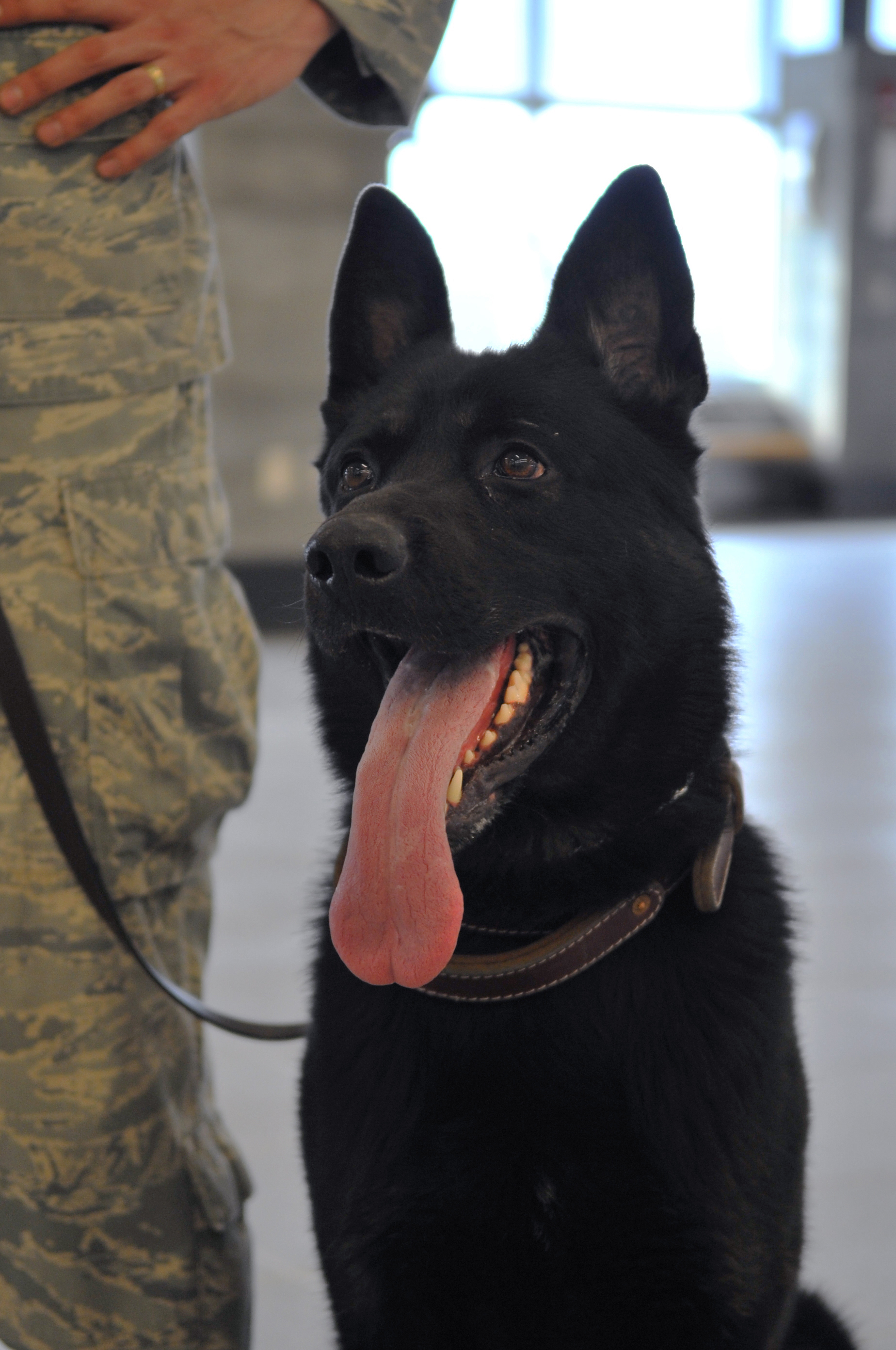 Securing Alaska's Interior > Eielson Air Force Base > Display