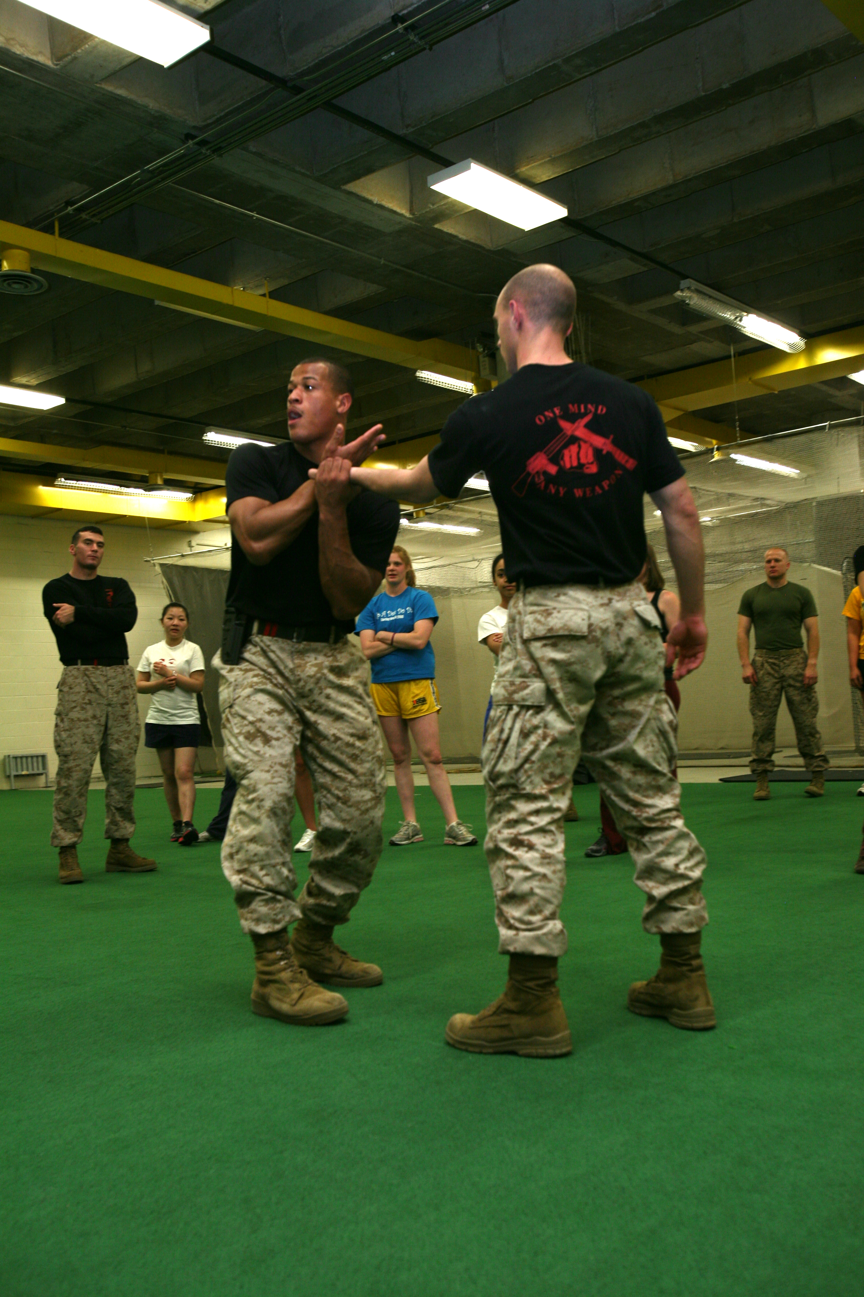 Martial Arts Center Of Excellence Usmc at Chloe Chauvel blog