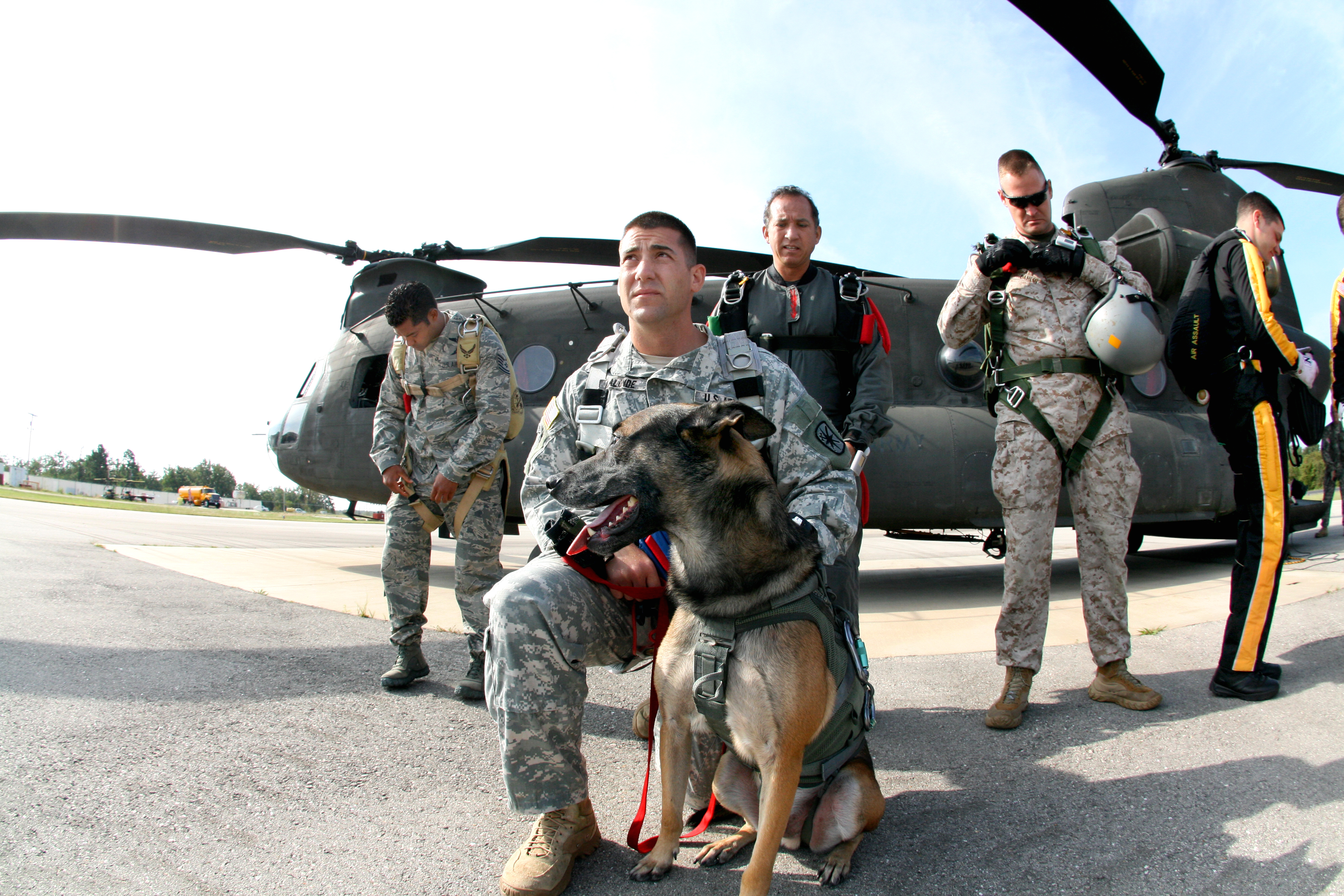 Military Working Dogs Skydiving