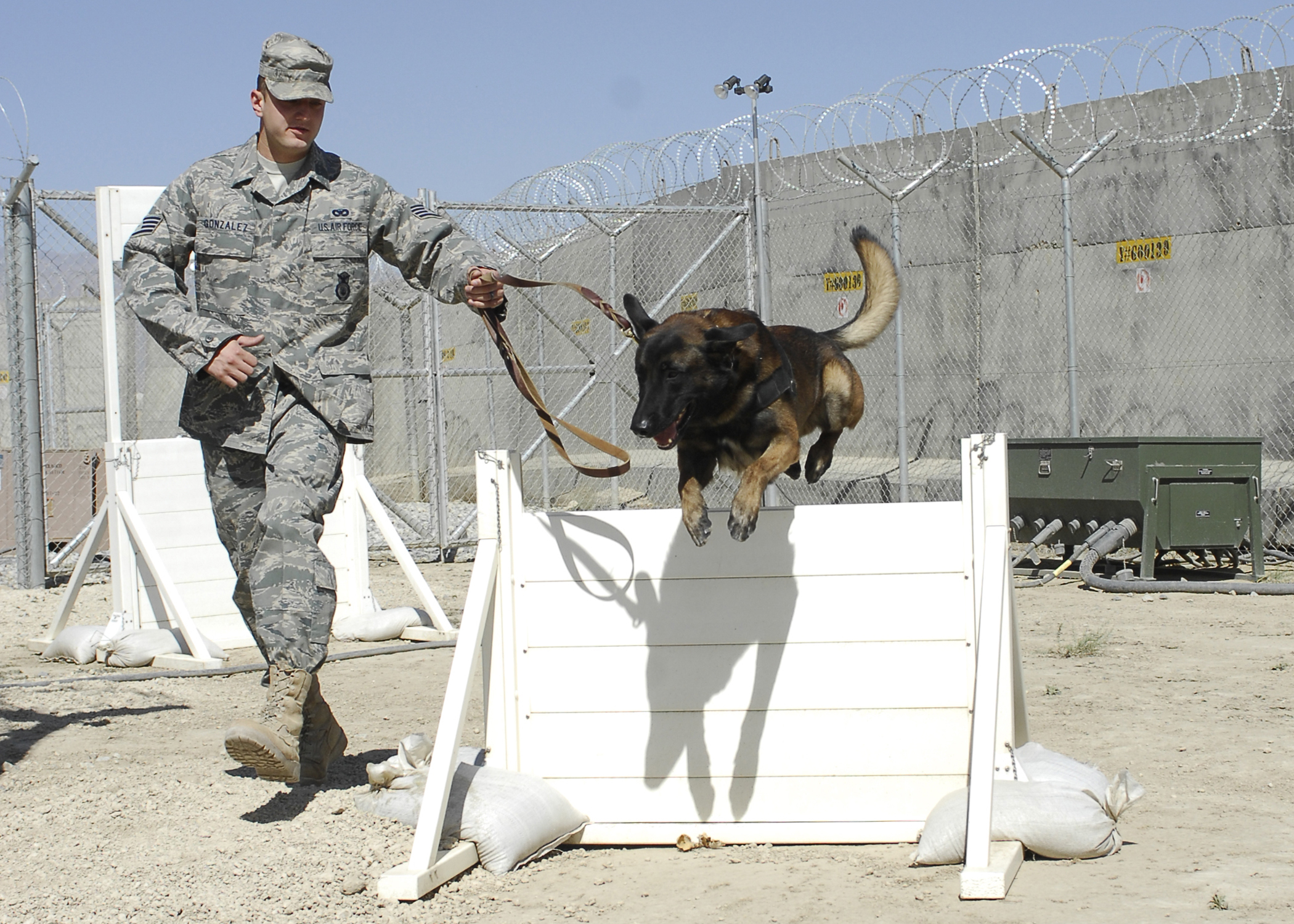 Military Working Dog training > U.S. Air Forces Central > Display