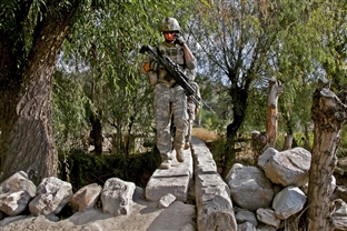 LOG BRIDGE | U.S. Department of War