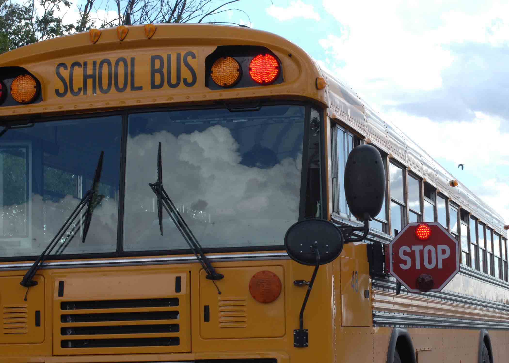 School bus safety > Cannon Air Force Base > Article Display