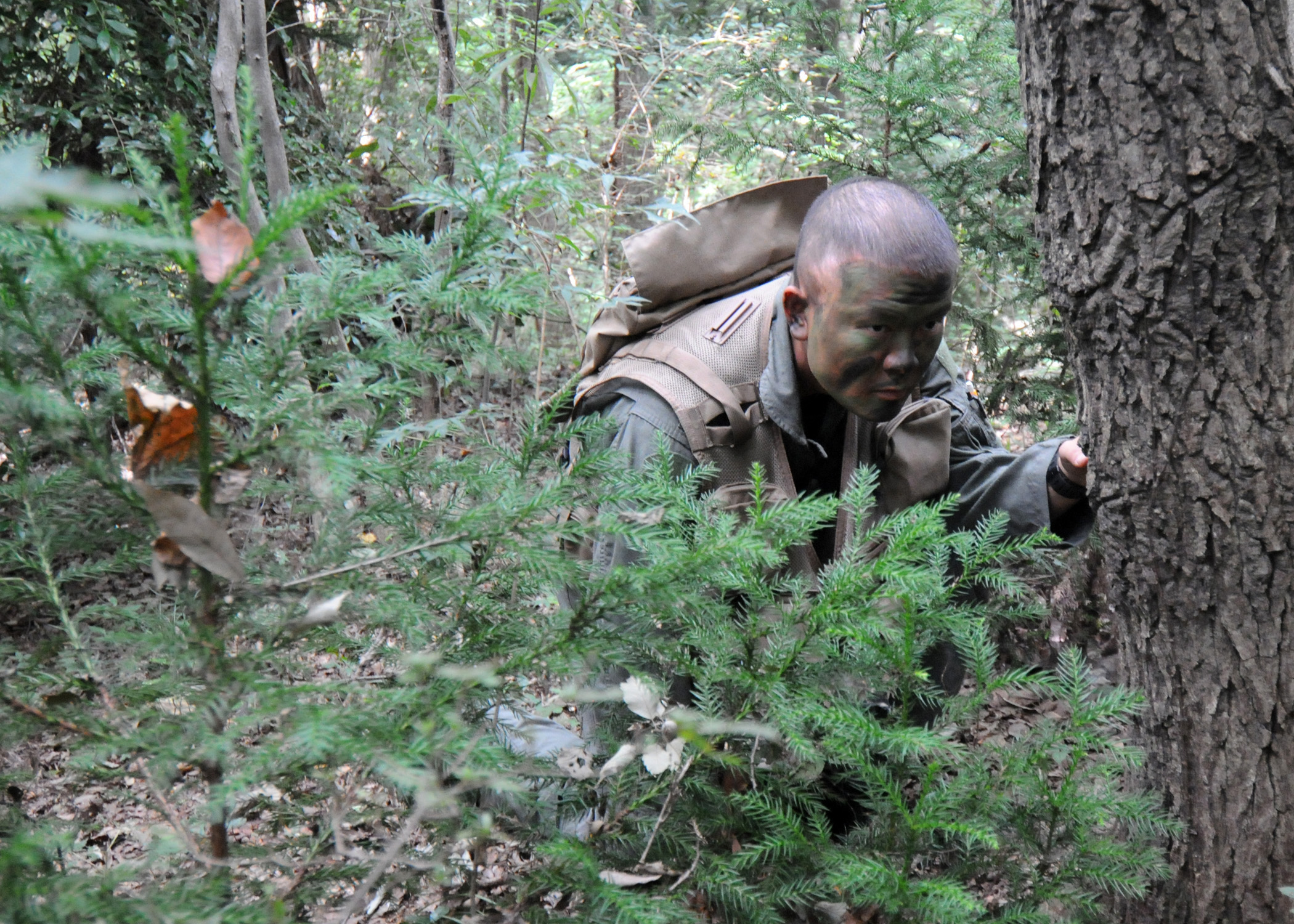 Refreshing survival skills