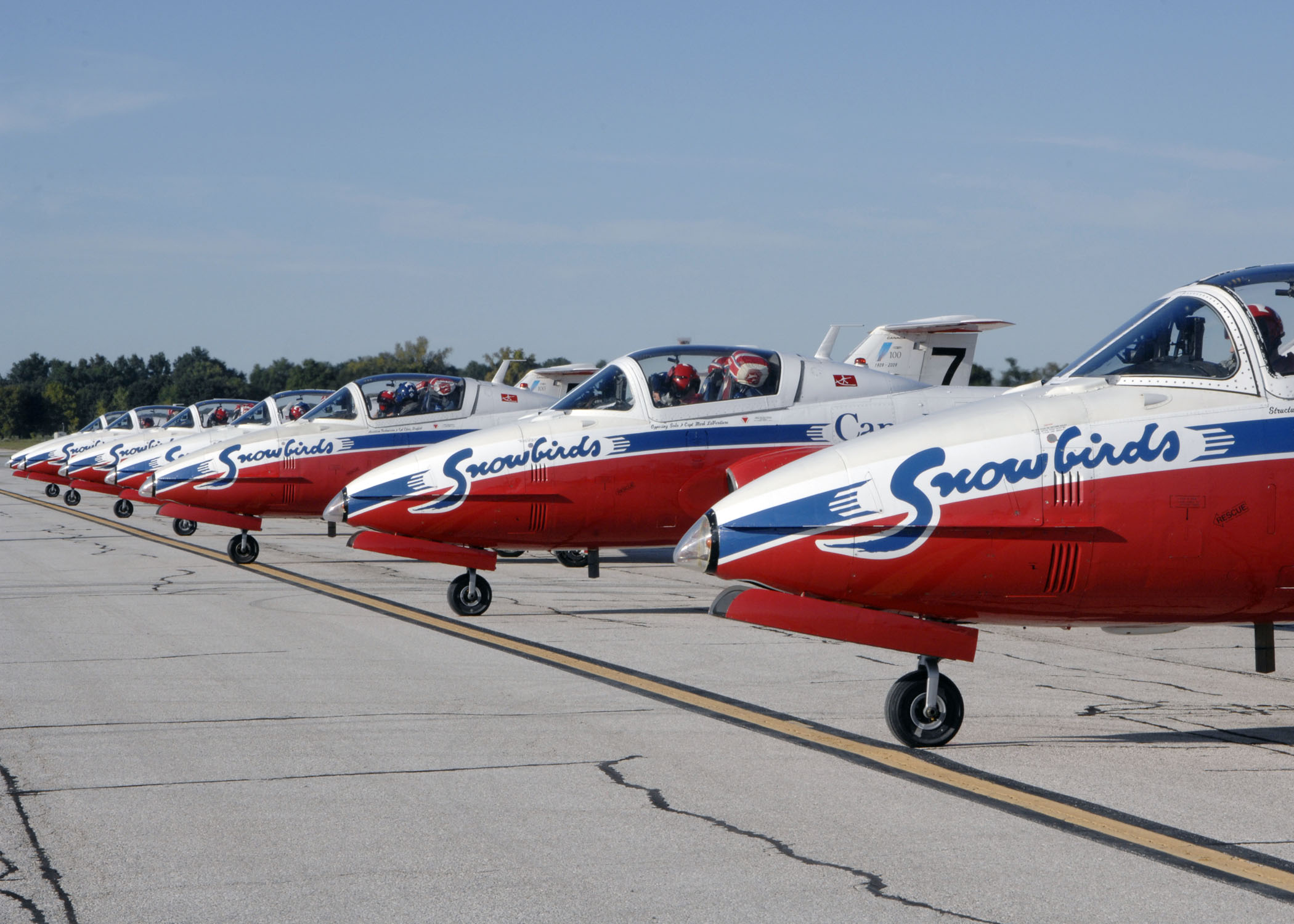The Snowbirds are here! > Scott Air Force Base > News