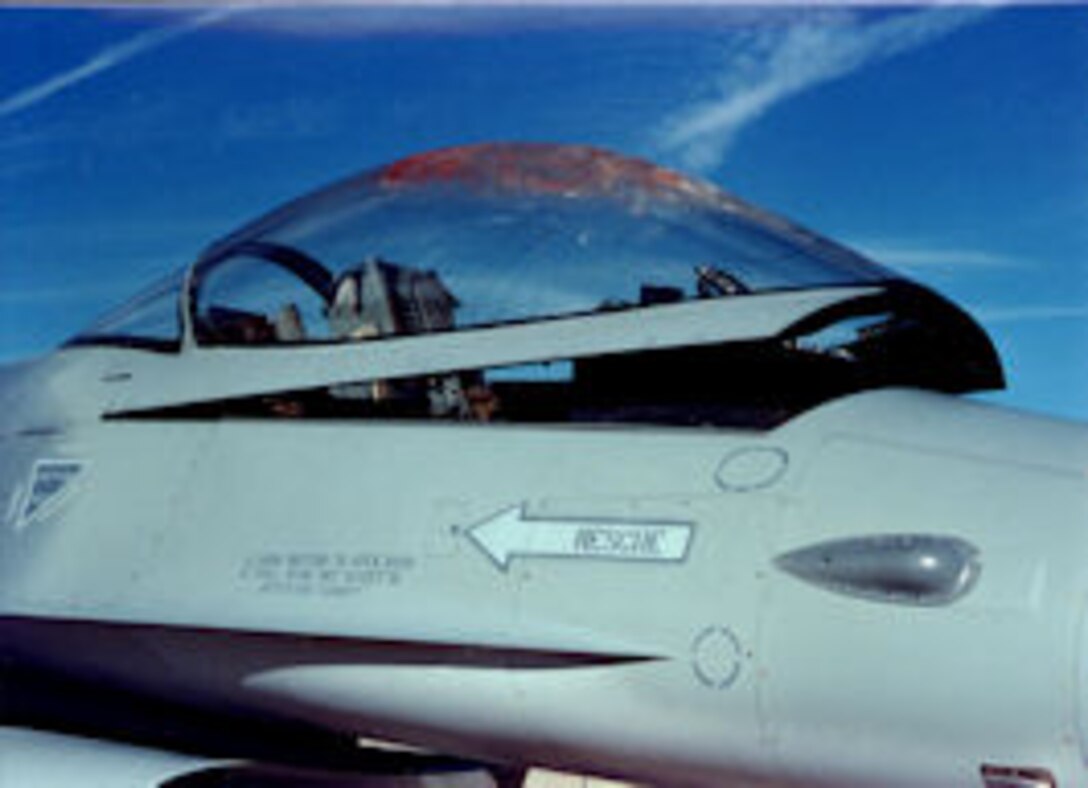 Birdstrike on F-16.