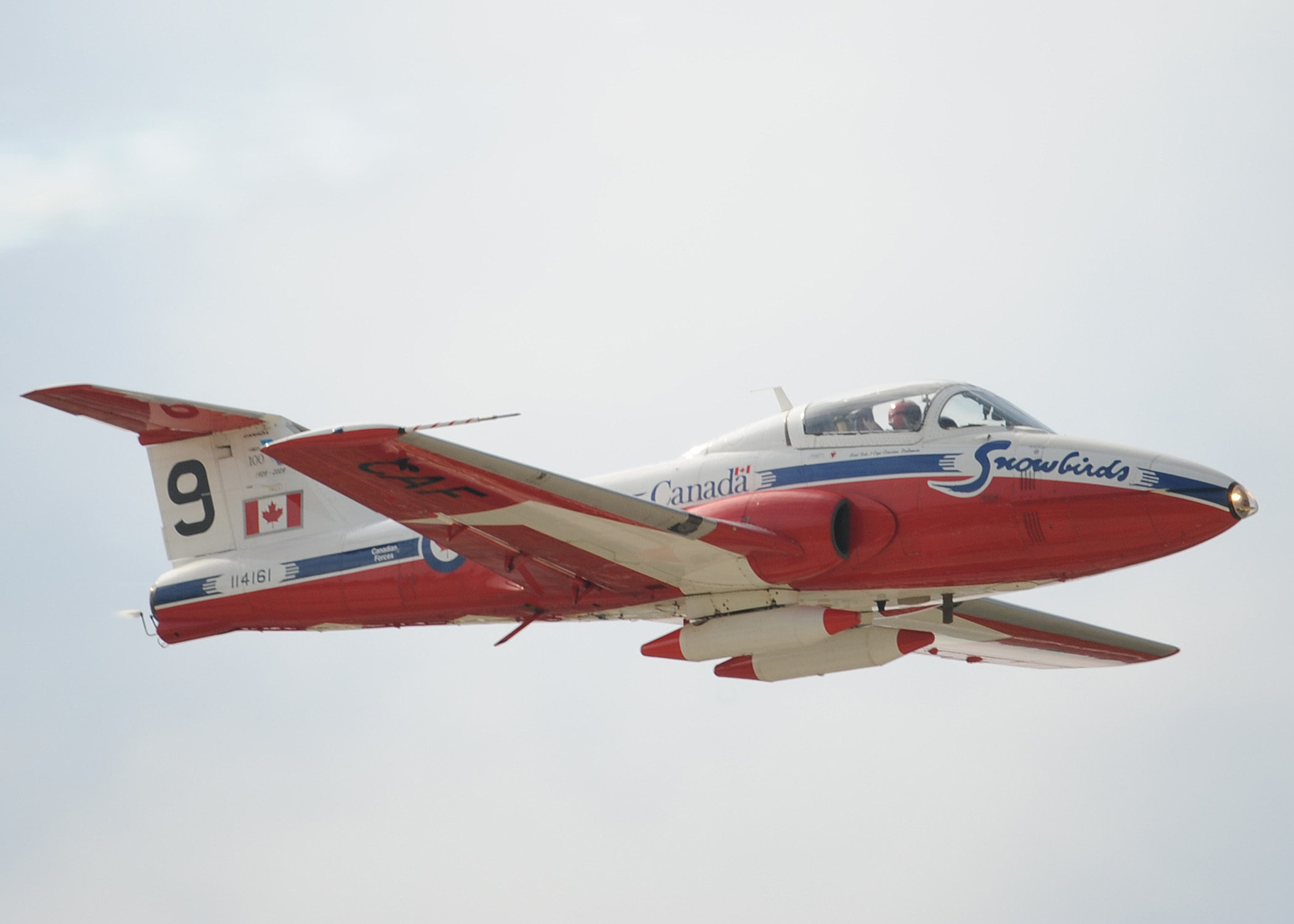Canadian Forces Snowbirds