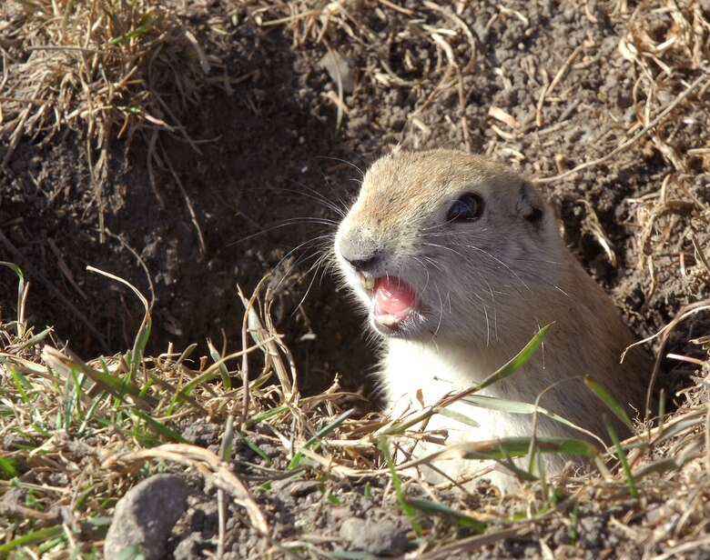 Spring has sprung > Minot Air Force Base > Article Display
