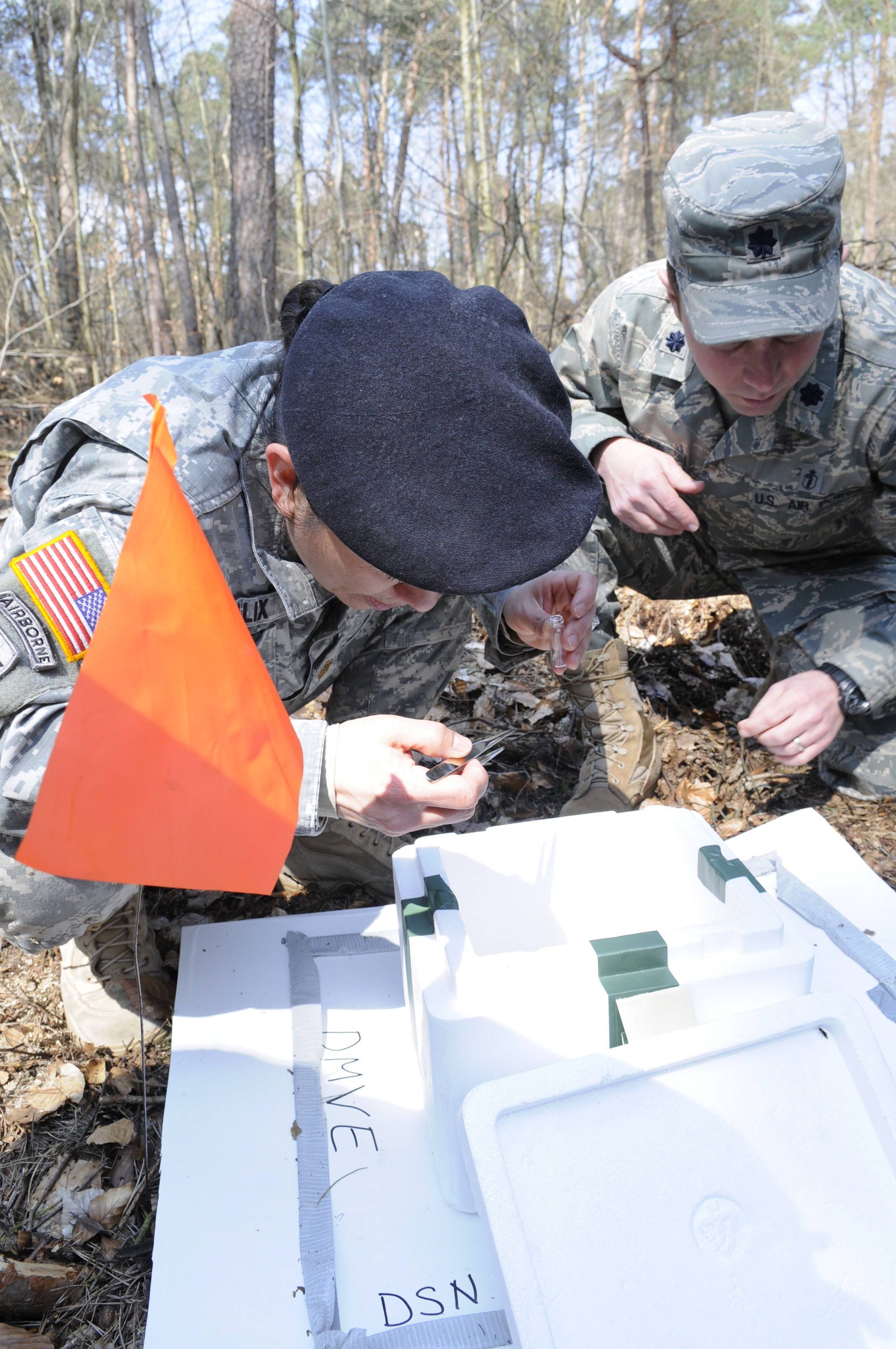 Air Force, Army partner to combat tick-borne diseases > U.S. Air Forces ...