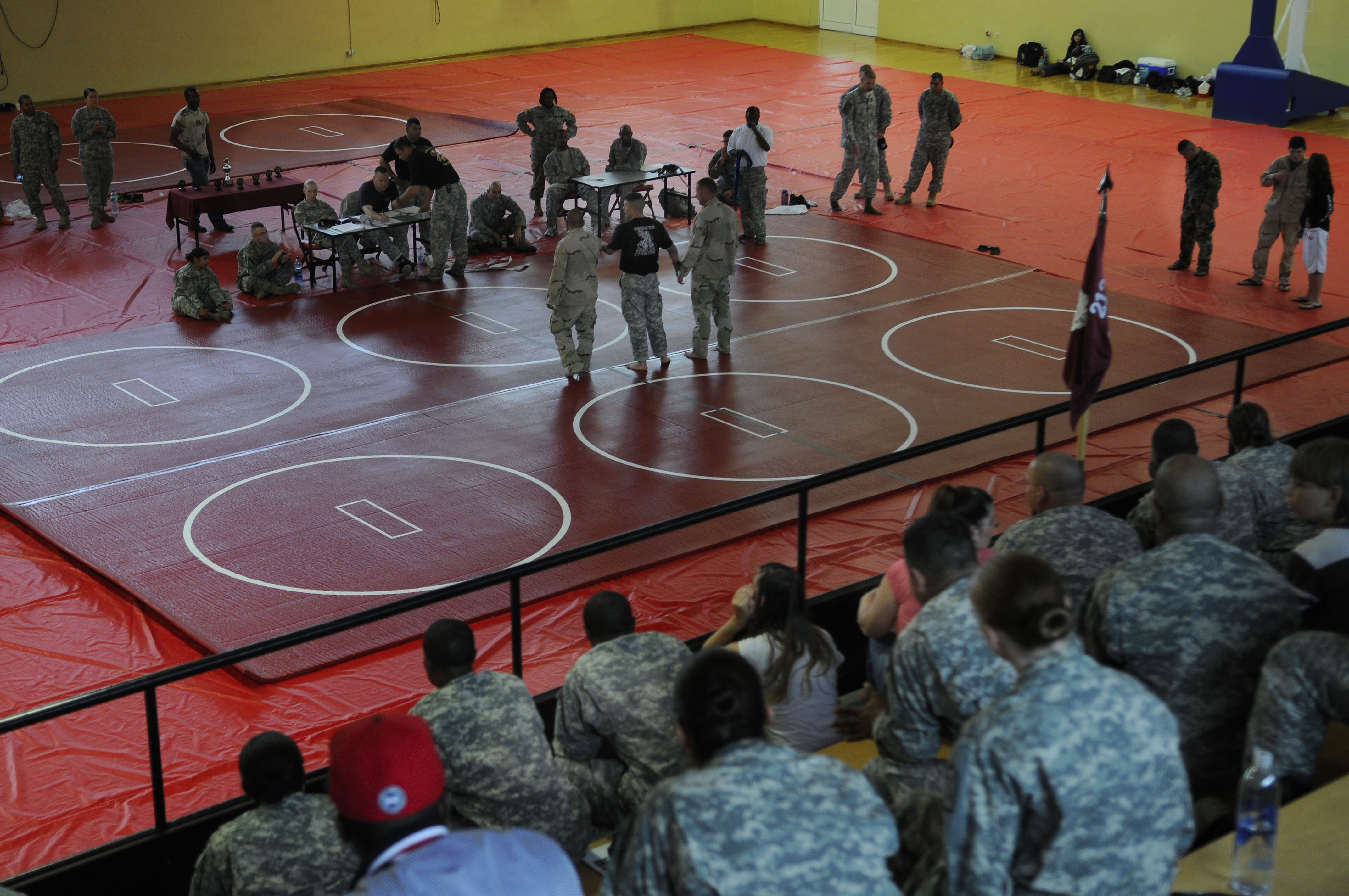 Combative Skills