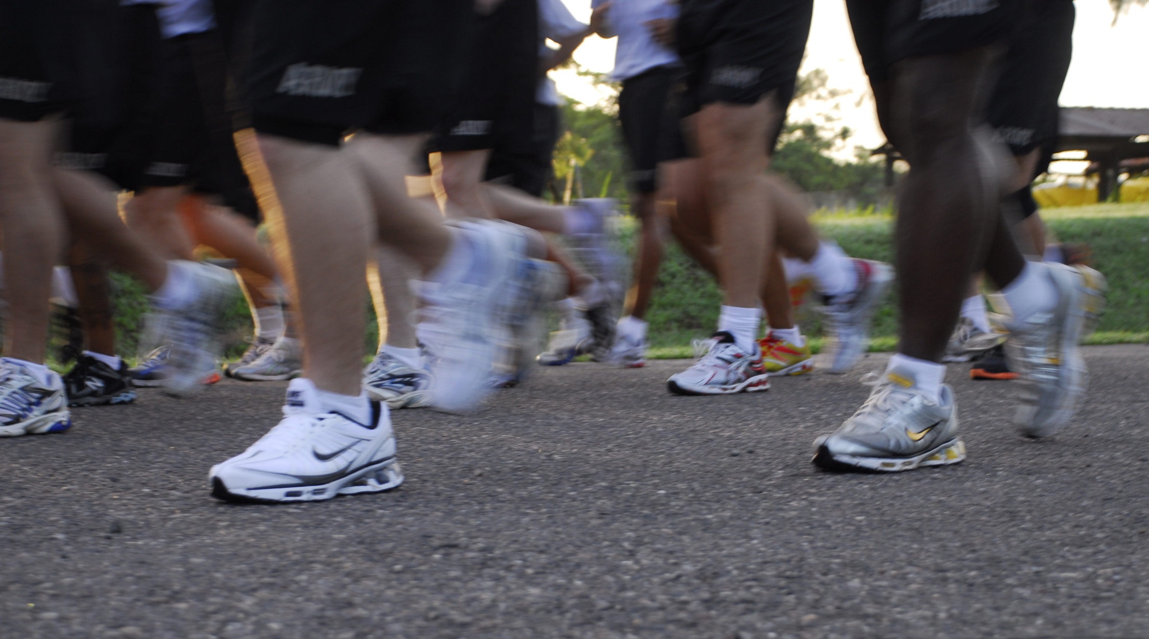They do run, run, run > Joint Task Force-Bravo > News