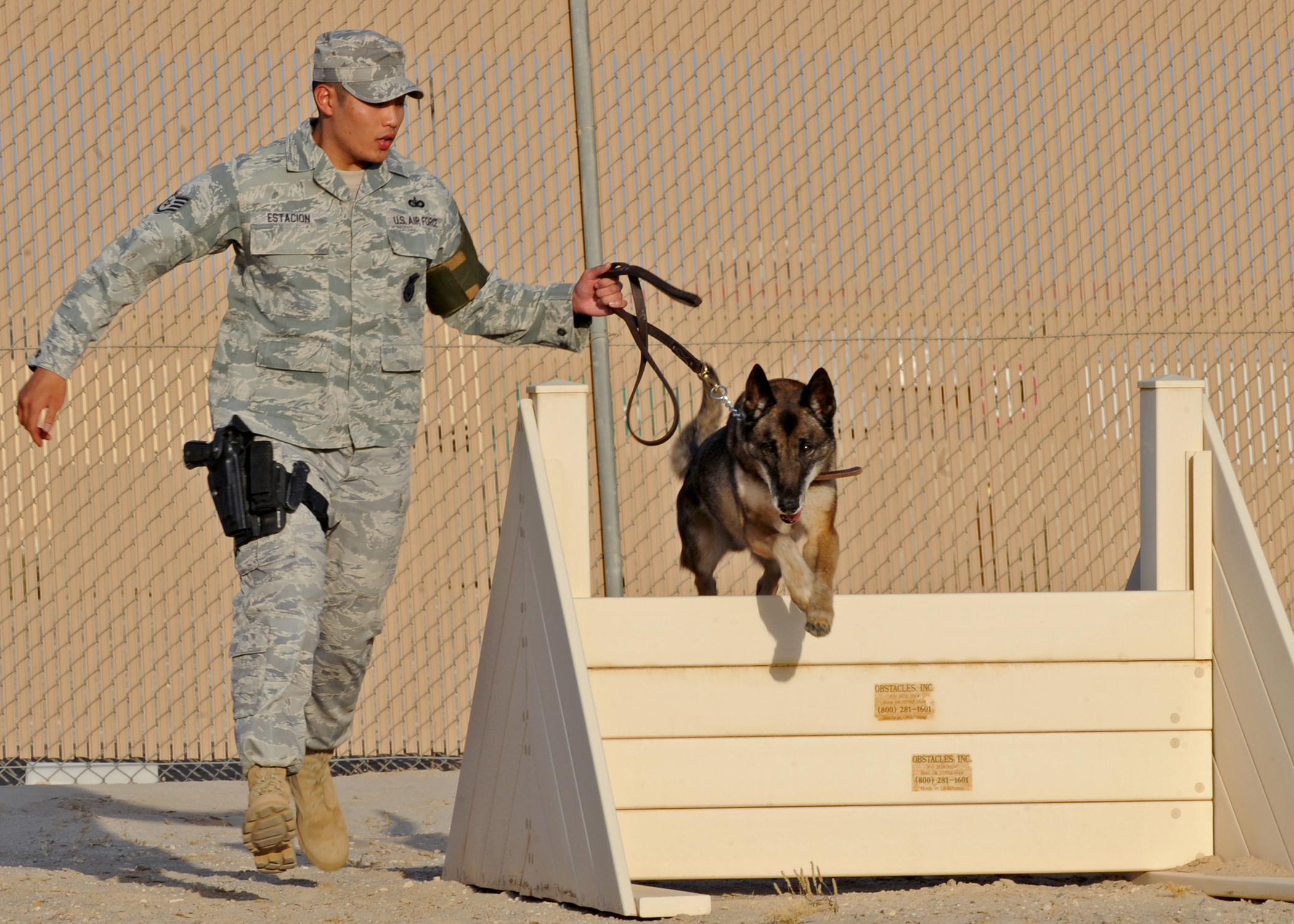 Travis security forces MWD handler keeps deployed base secure in ...