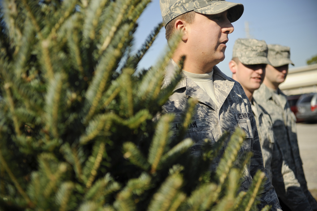 'Trees for Troops' Spreads Holiday Spirit