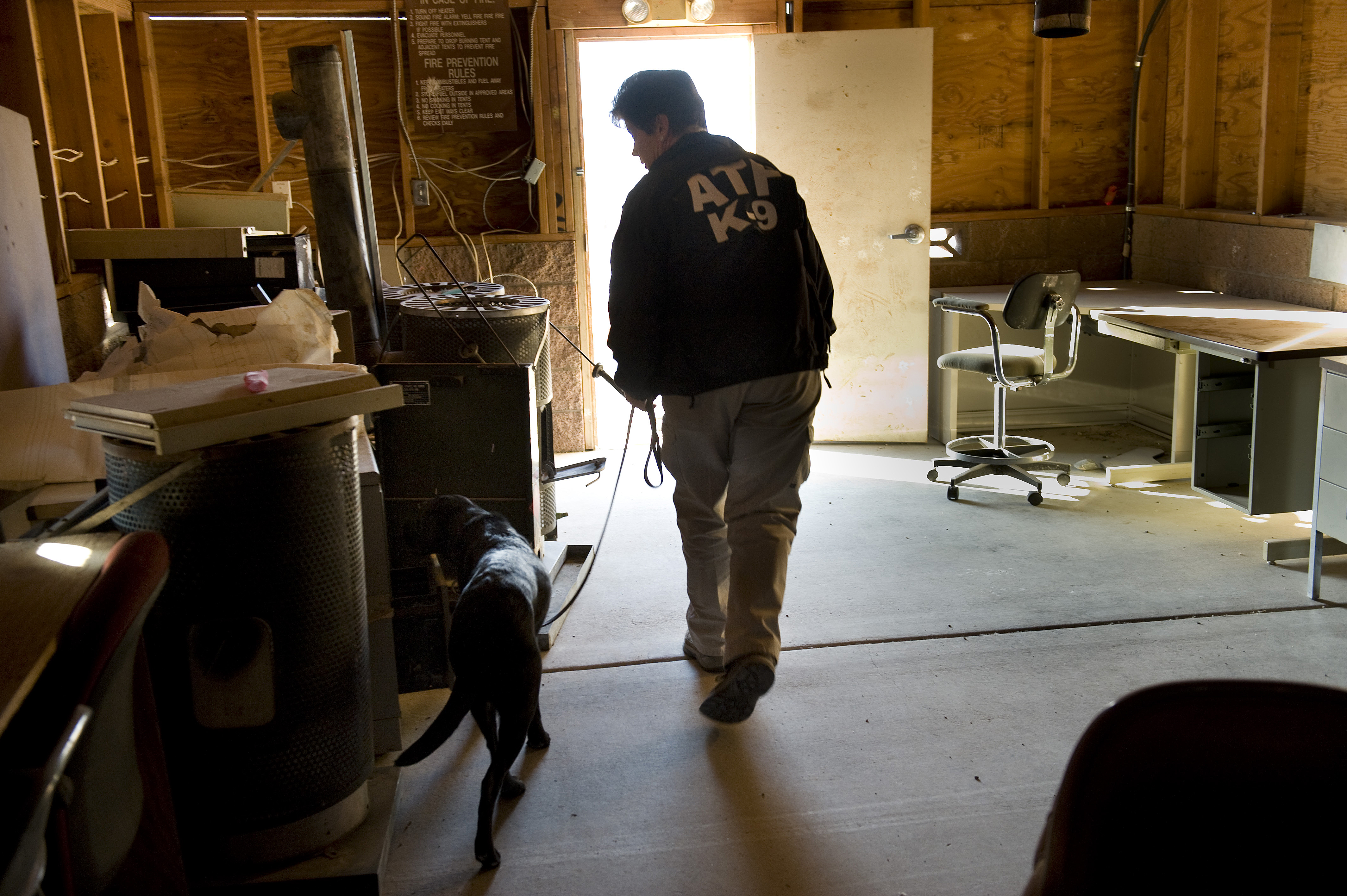 Nellis hosts joint explosive detection training exercise for local ...