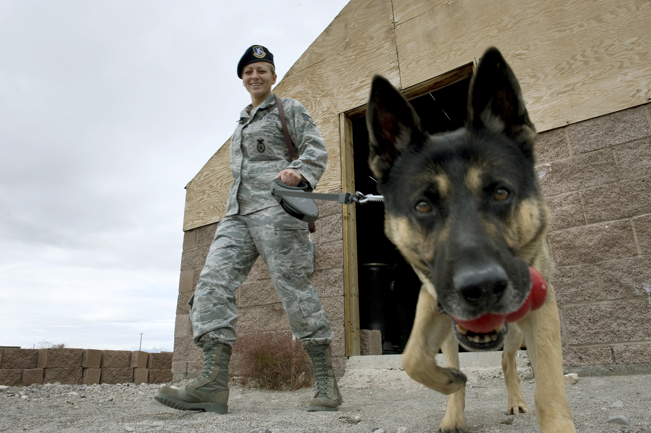 Nellis hosts joint explosive detection training exercise for local ...