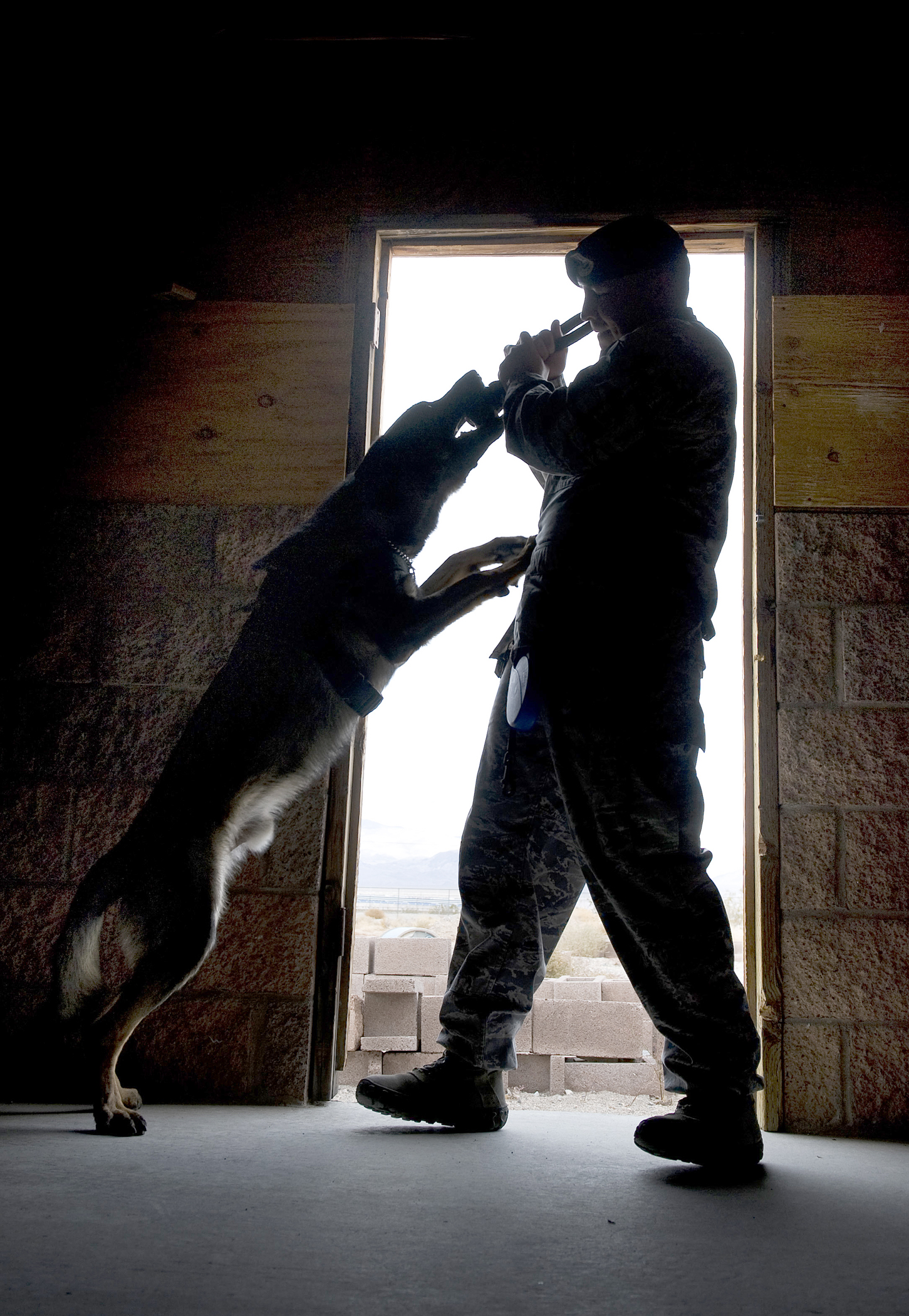 Nellis hosts joint explosive detection training exercise for local ...