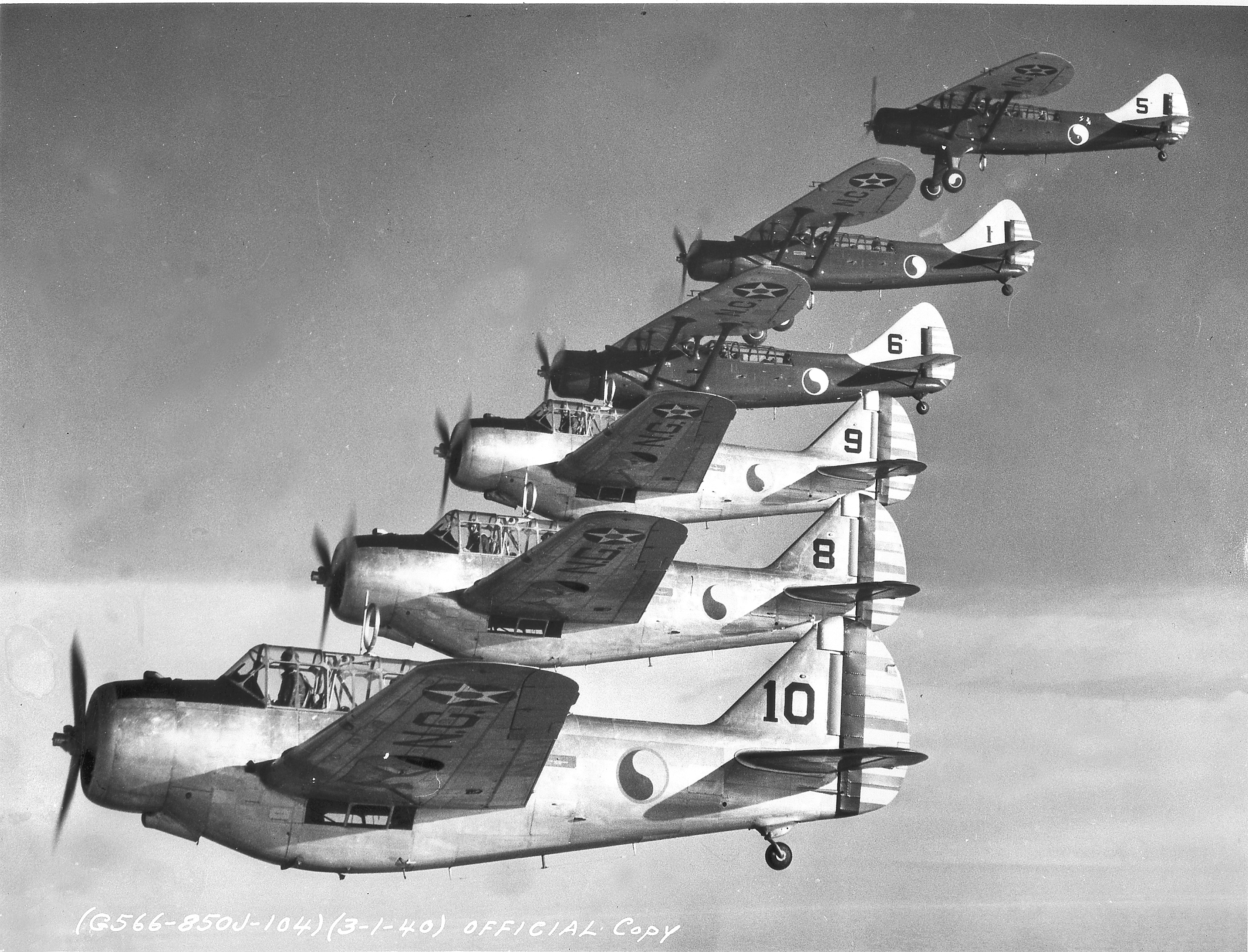 World War II Birds