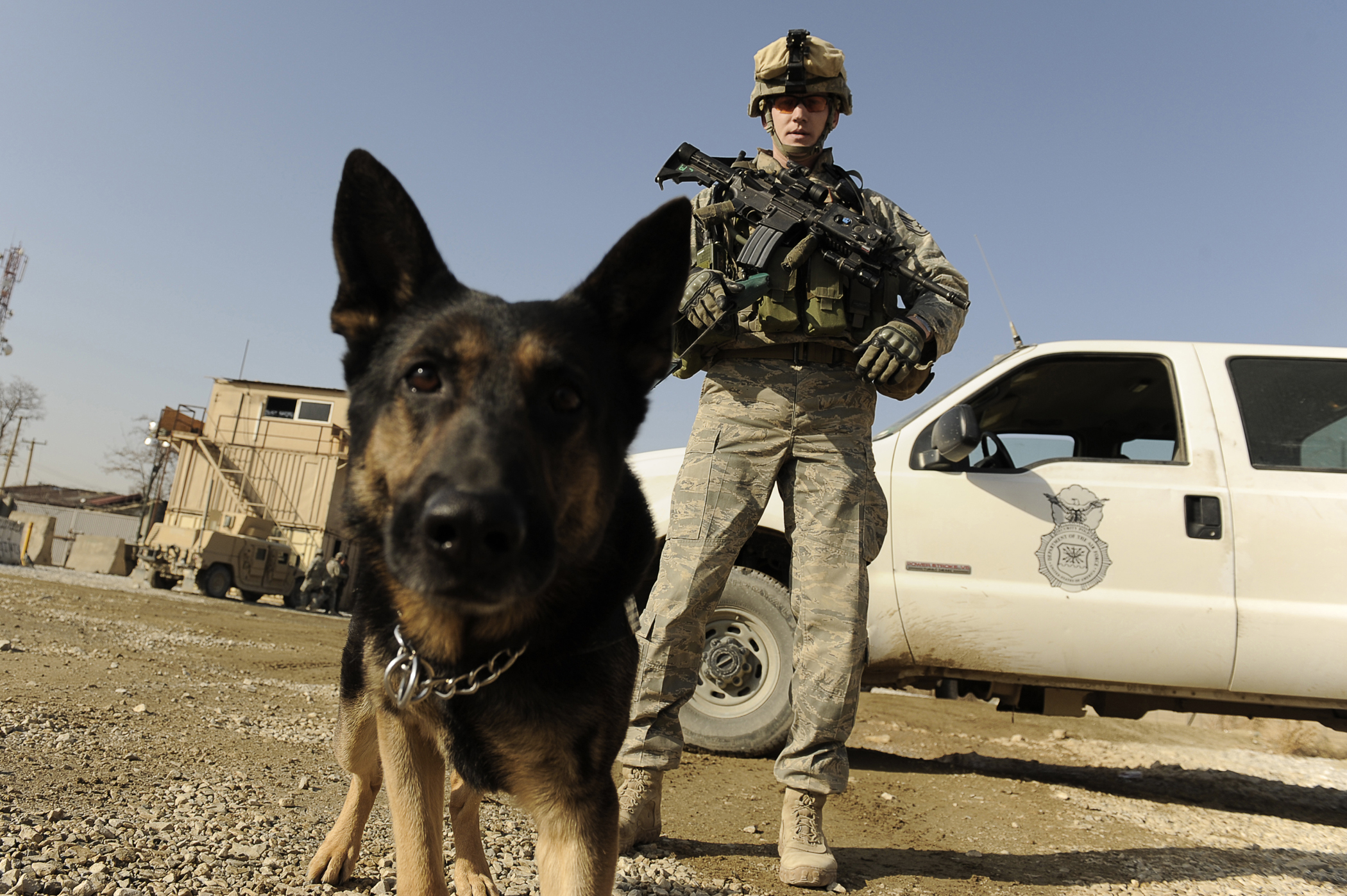 Photo essay: It's a dog's life at Bagram > Air Force > Article Display