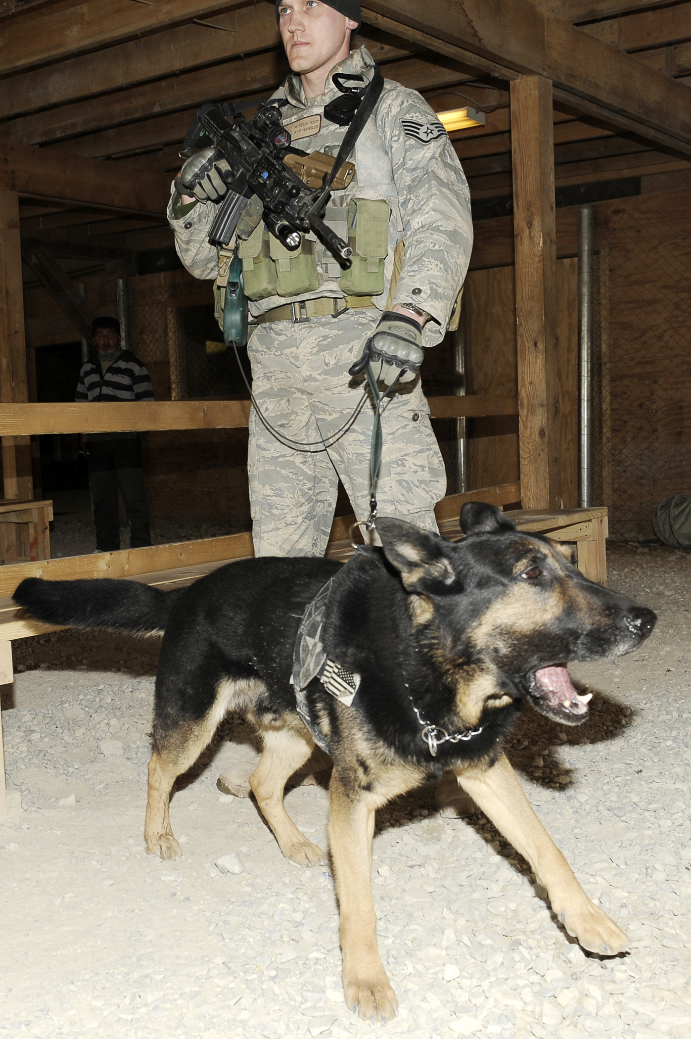 It's a dog's life at Bagram