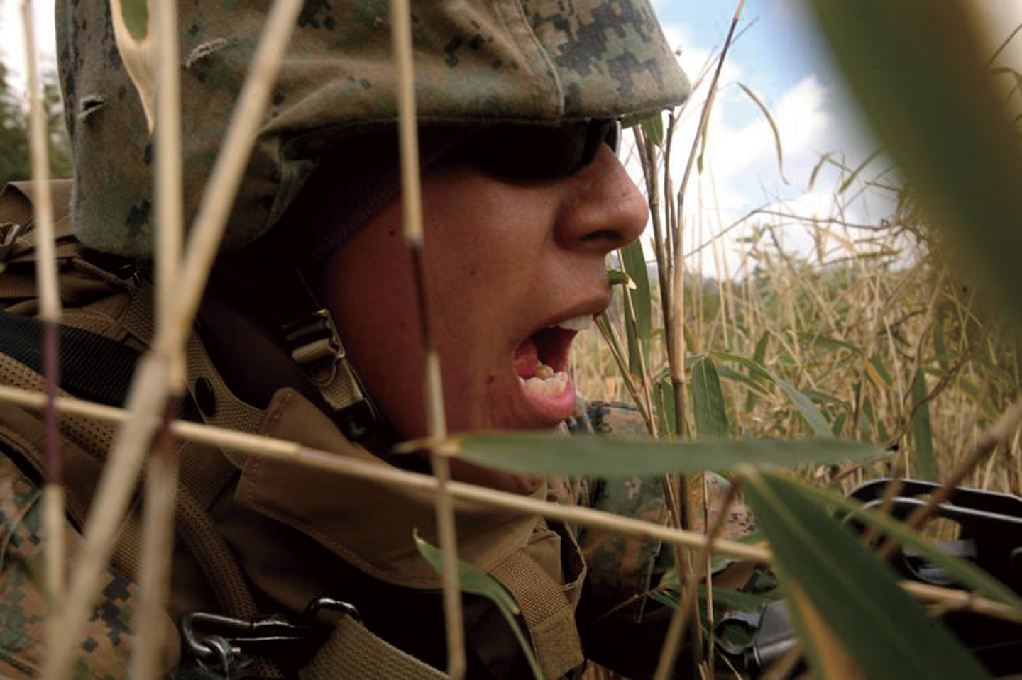 Training enhances combat readiness > Marine Corps Installations Pacific ...