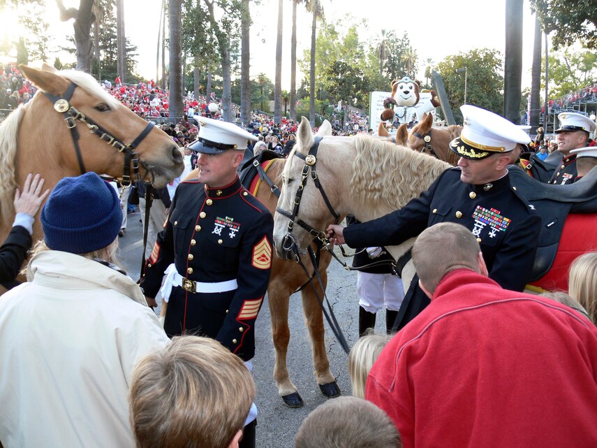 Mounted Color Guard main attraction in Rose Parade > Marine Corps ...
