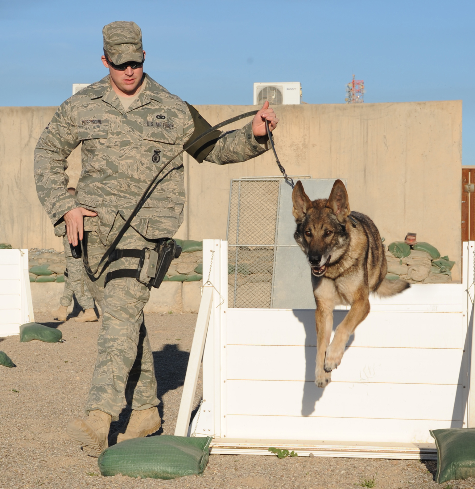 21st SFS canine with ‘nose for danger’ serves last deployment ...