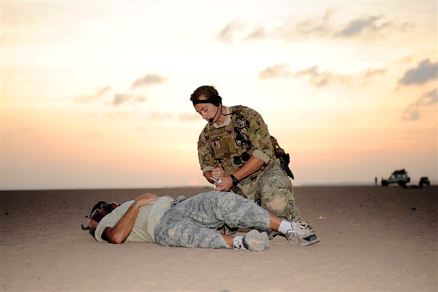 Shogun-31st RQS in HOA