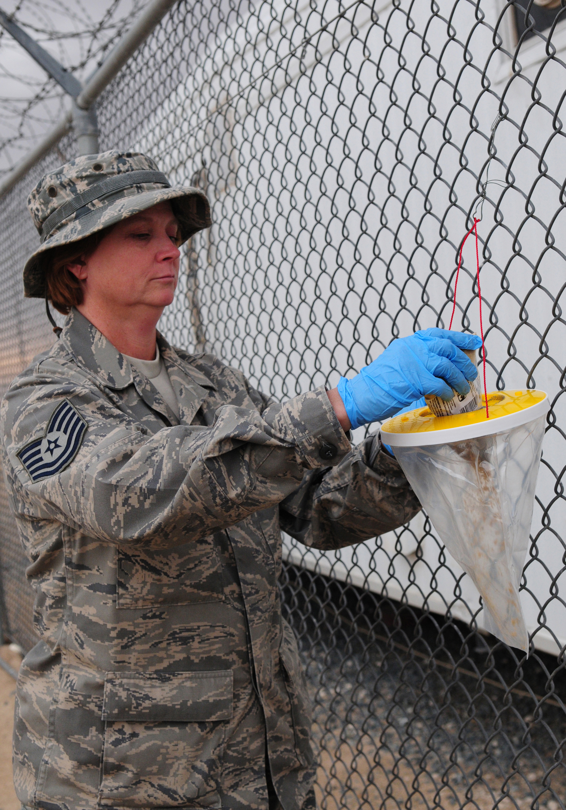 Entomology controls insect population > U.S. Air Forces Central > Display