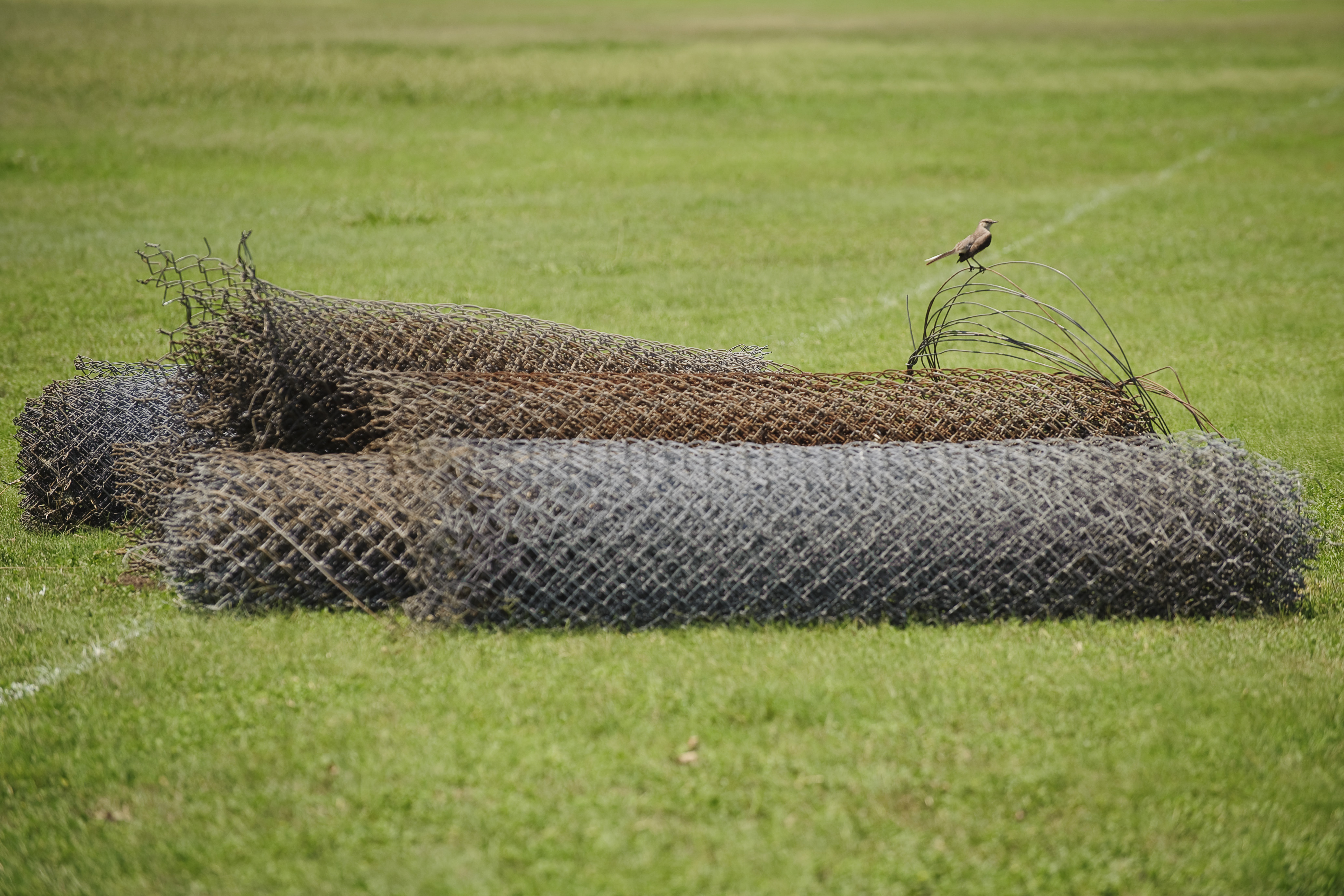 Grater Field construction