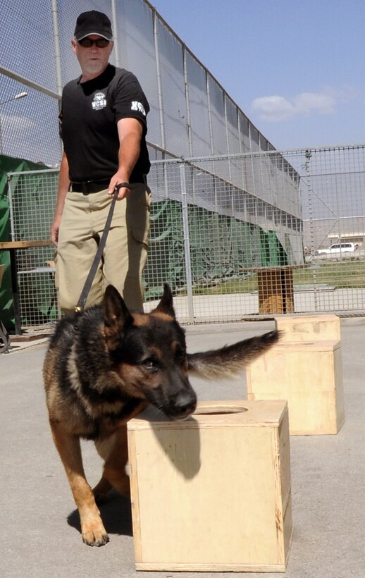Tim Cassidy, a dog handler with Vigilant Canine Services International ...