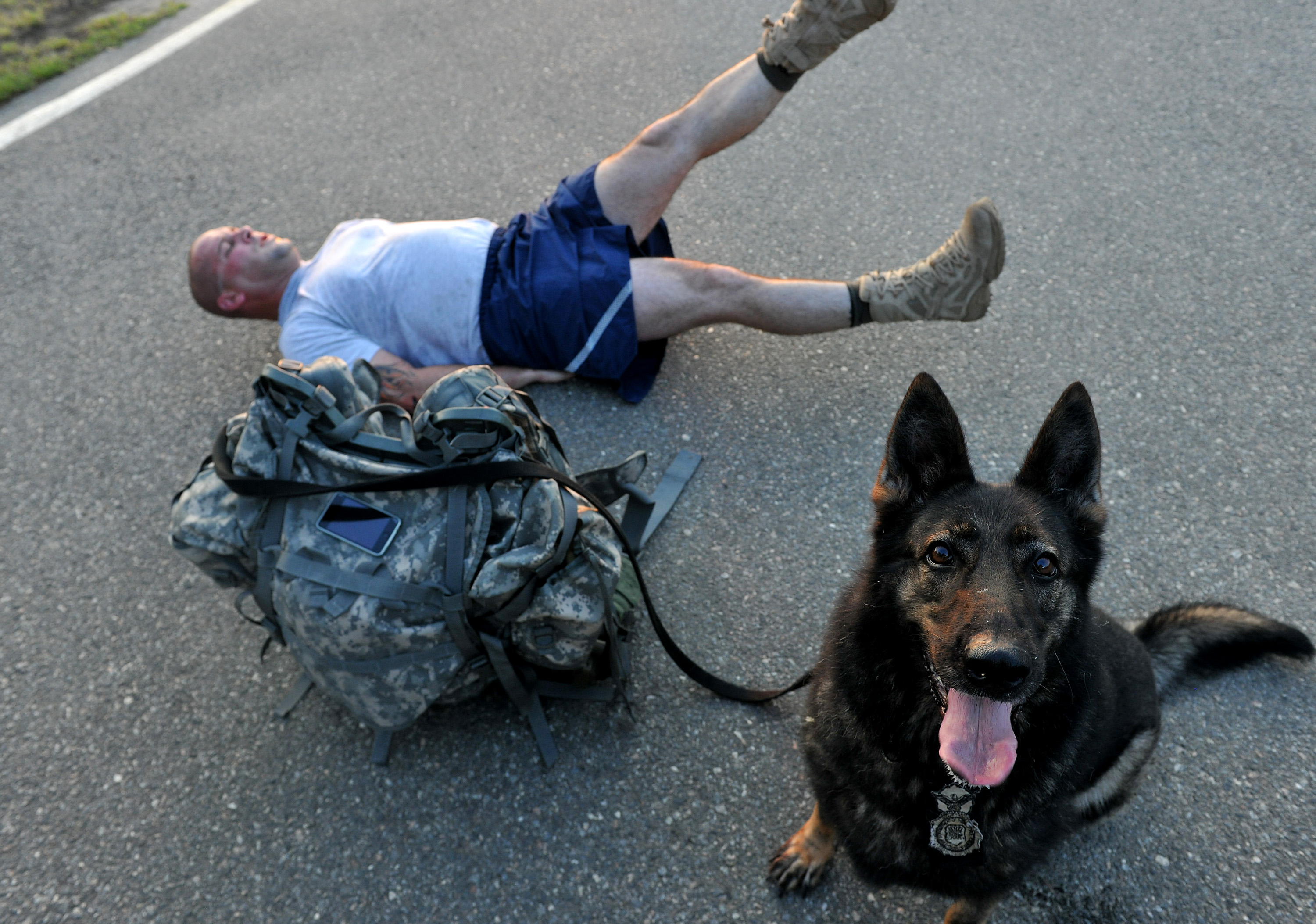 Military working dogs go the mile > Moody Air Force Base > Article Display