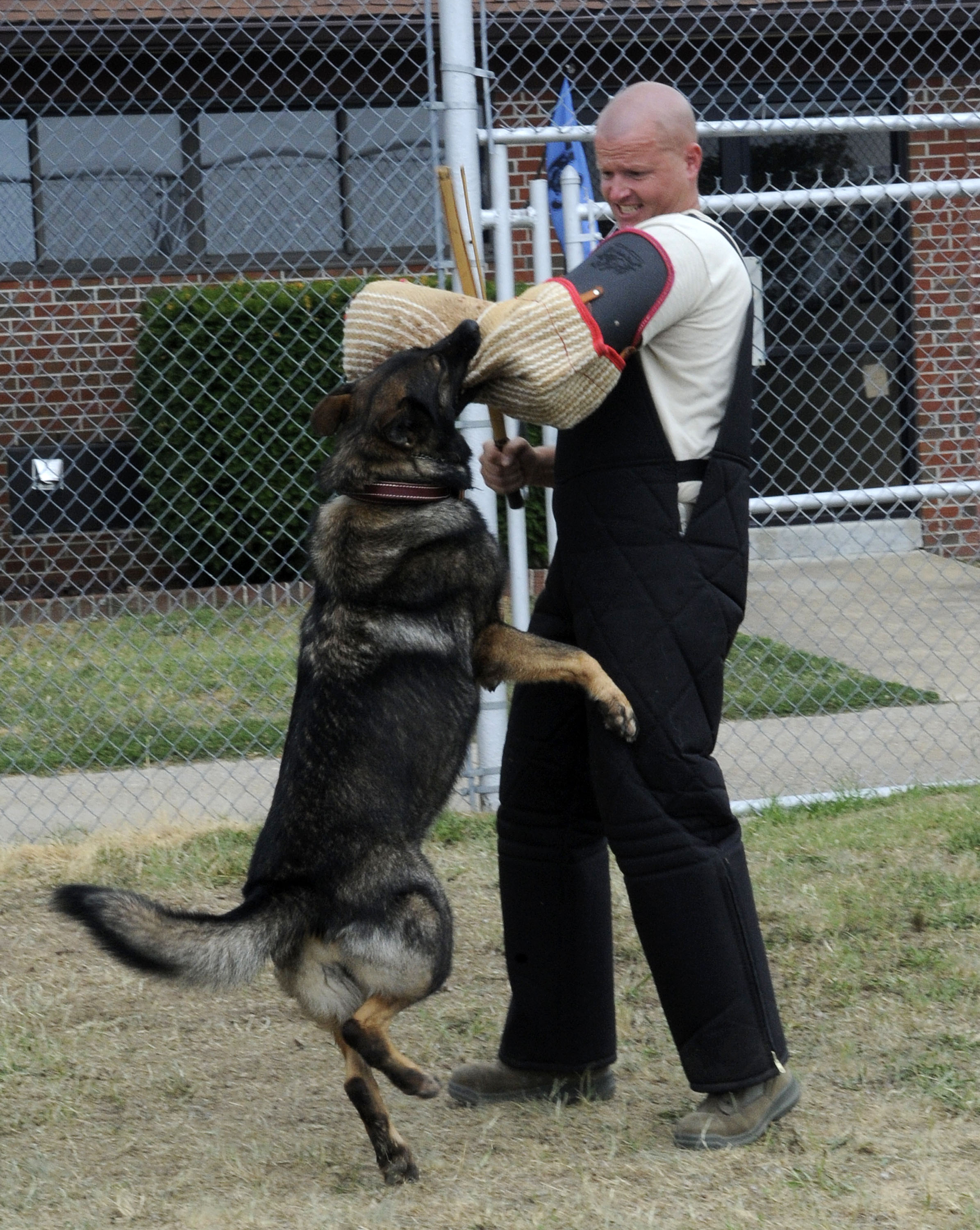 MWD training seminar