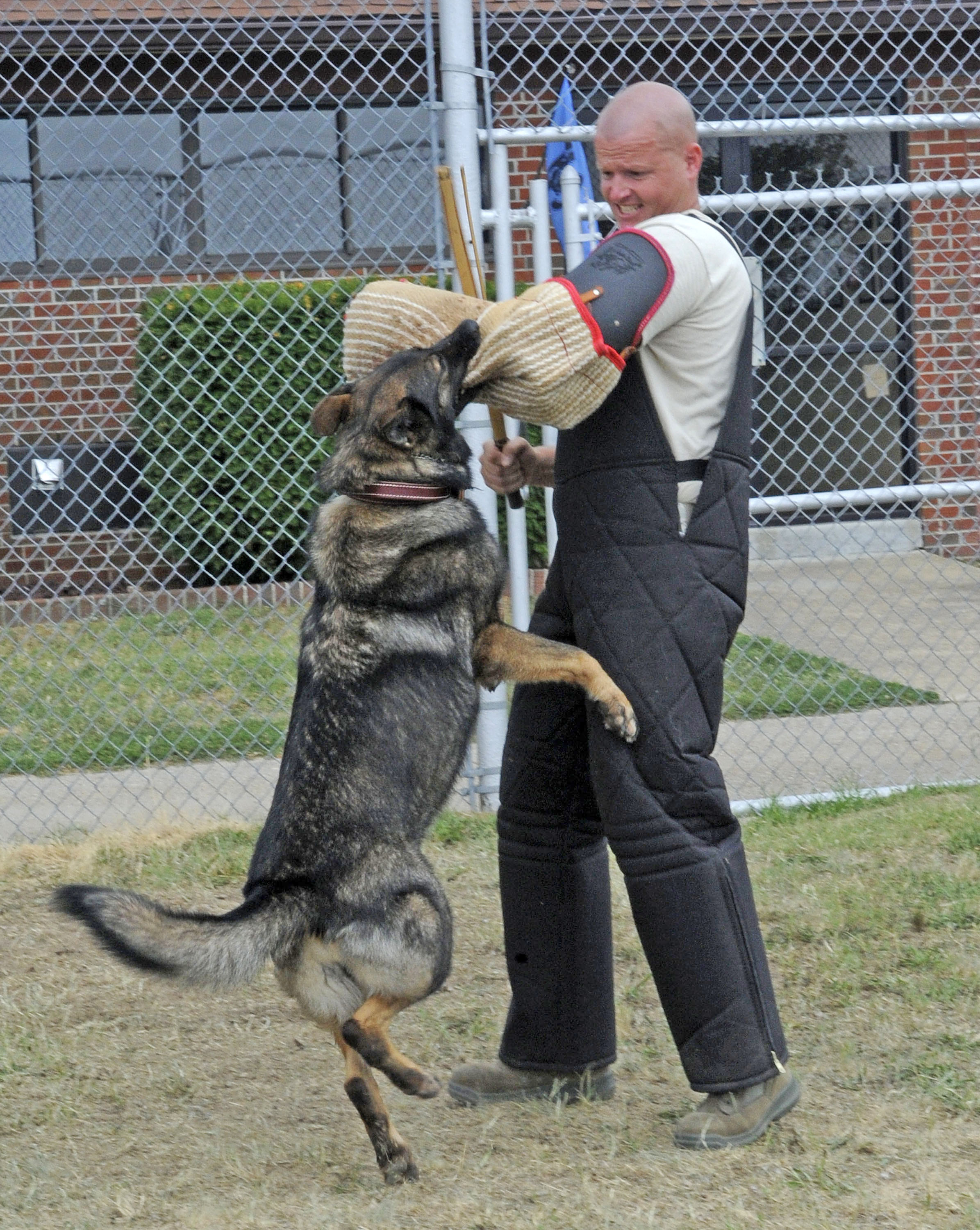 ACC hosts MWD training seminar at Langley > Air Force > Article Display