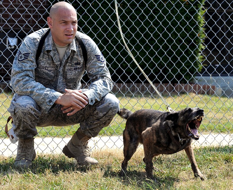 ACC hosts MWD training seminar at Langley > United States Marine Corps ...