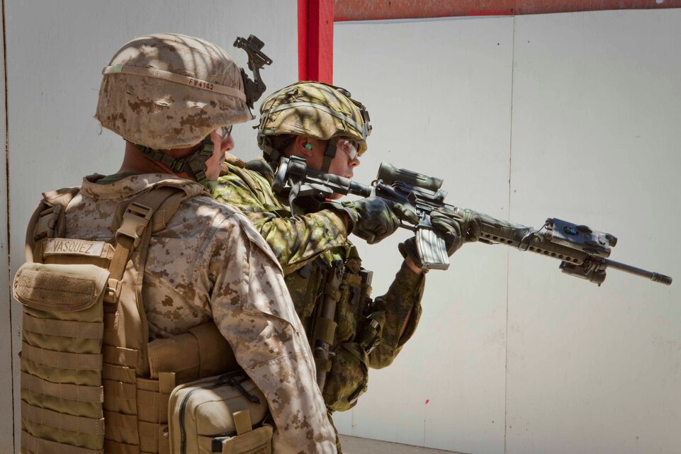 Tan, green and an ashen tomb - 2/3 Marines, Canadians train at shoot ...