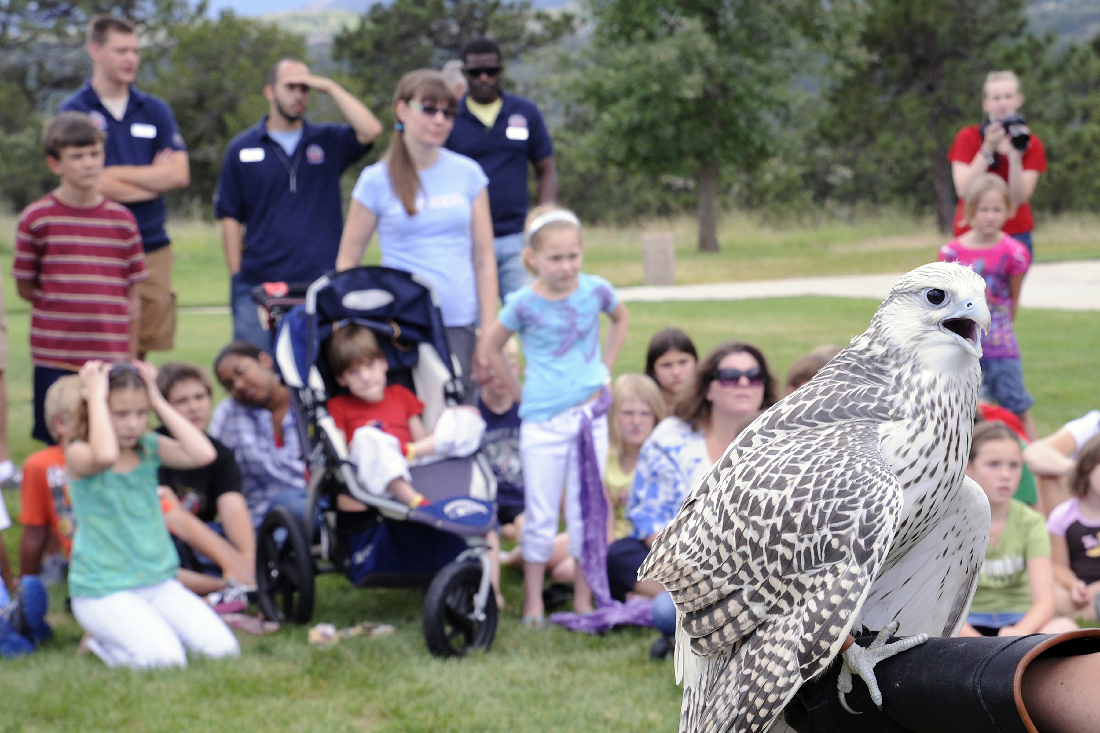 Newest falcon stretches her wings > U.S. Air Force Academy > Feature View