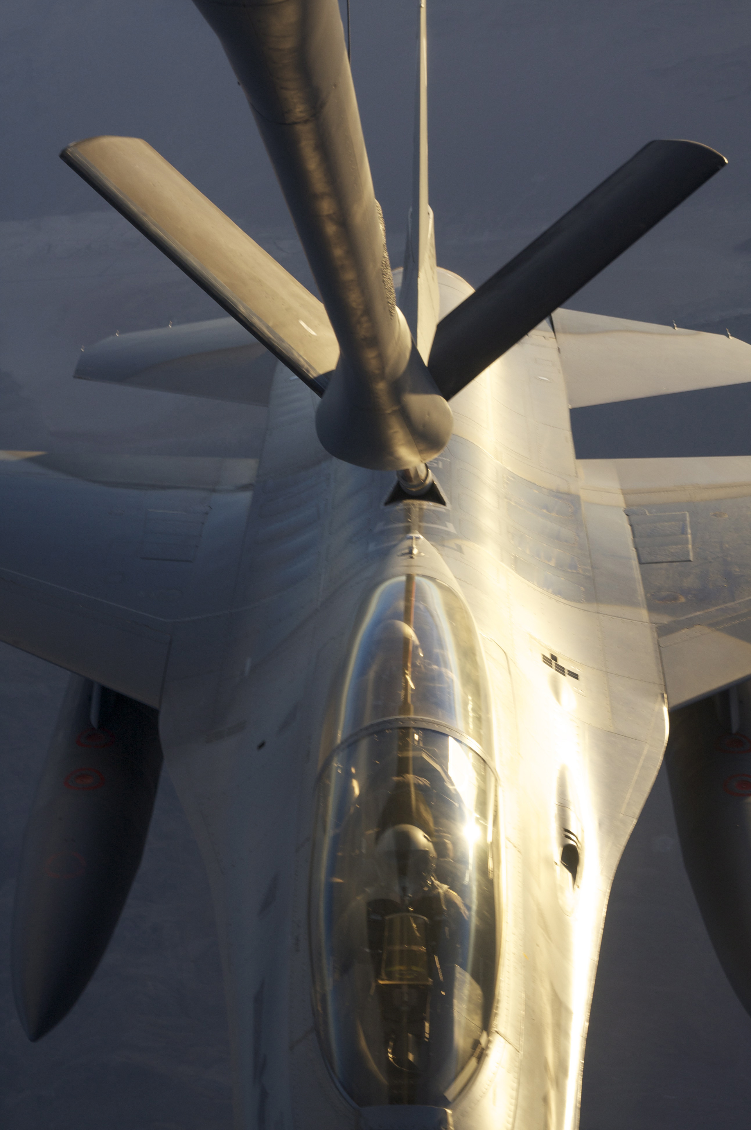 Pakistan Air Force Flag