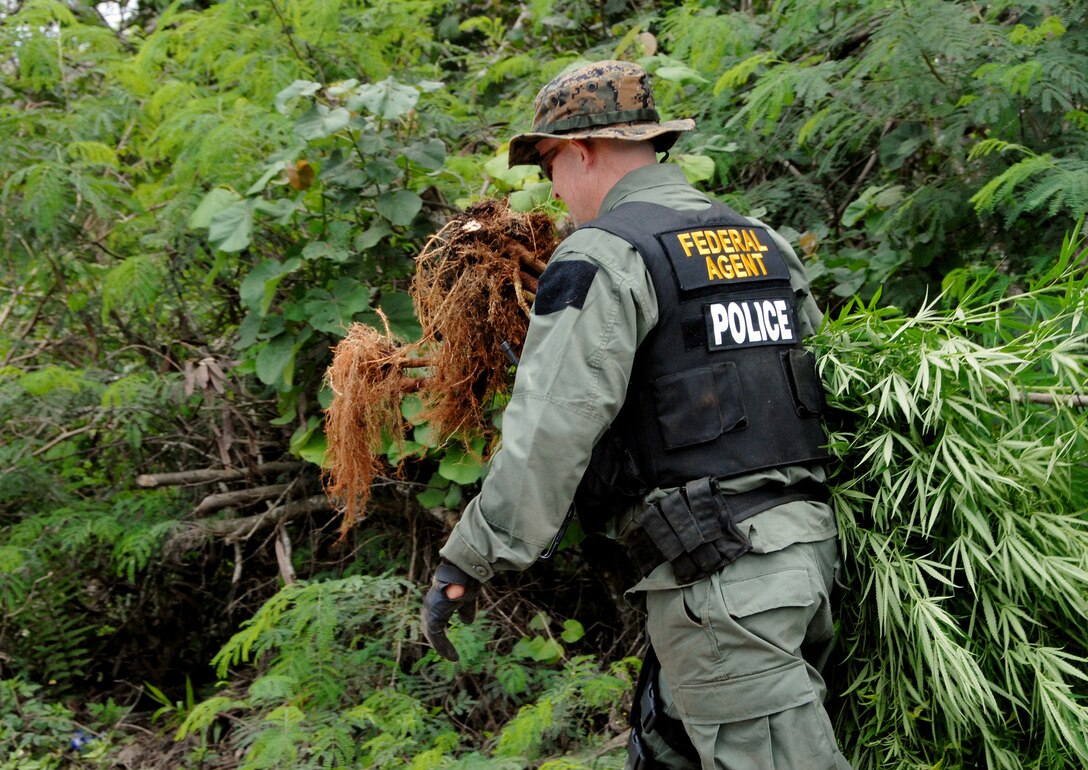 Guam Eradication Mission
