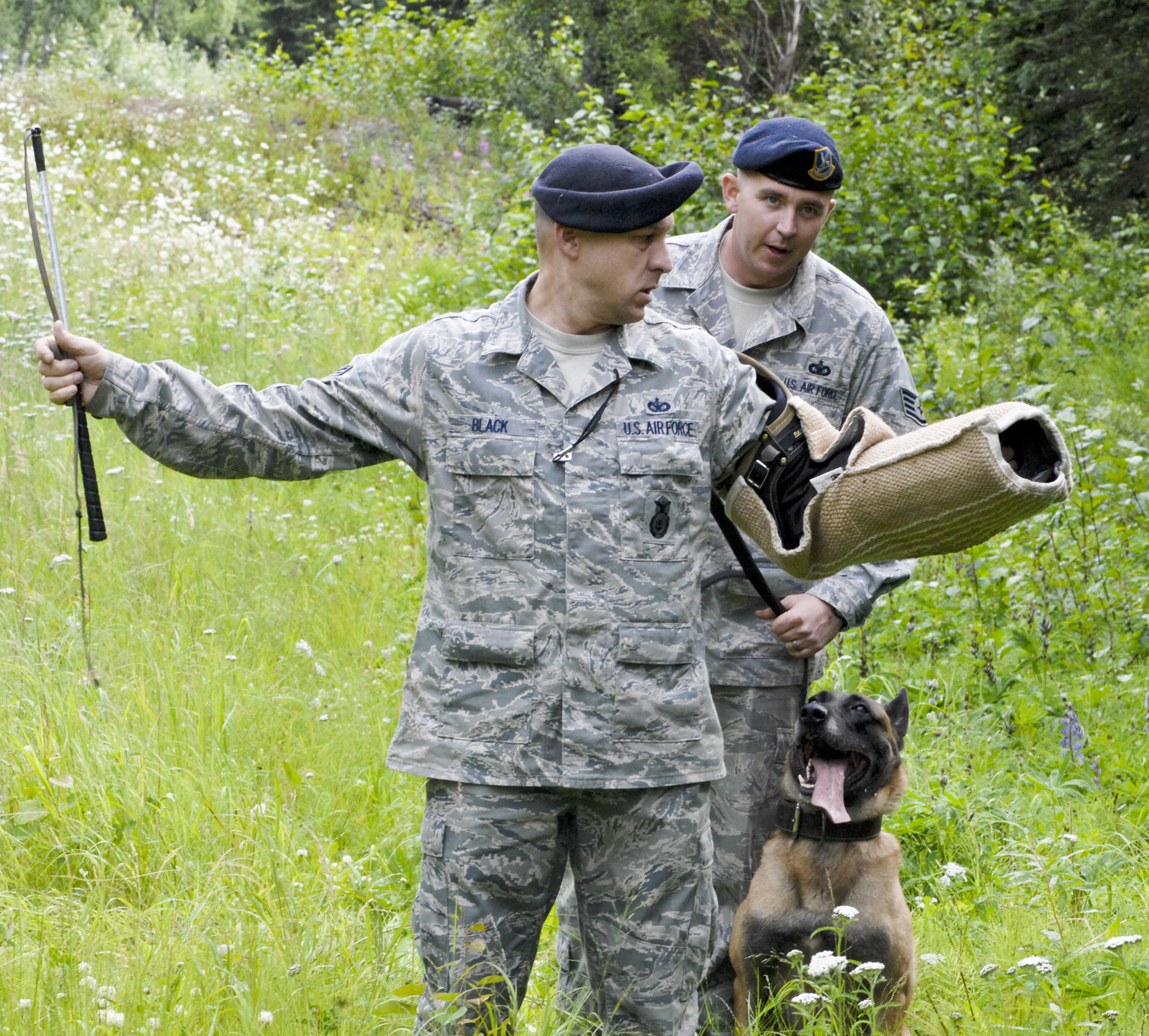 Photo essay: Working dogs find 'suspect' at Elmendorf > Air Force ...