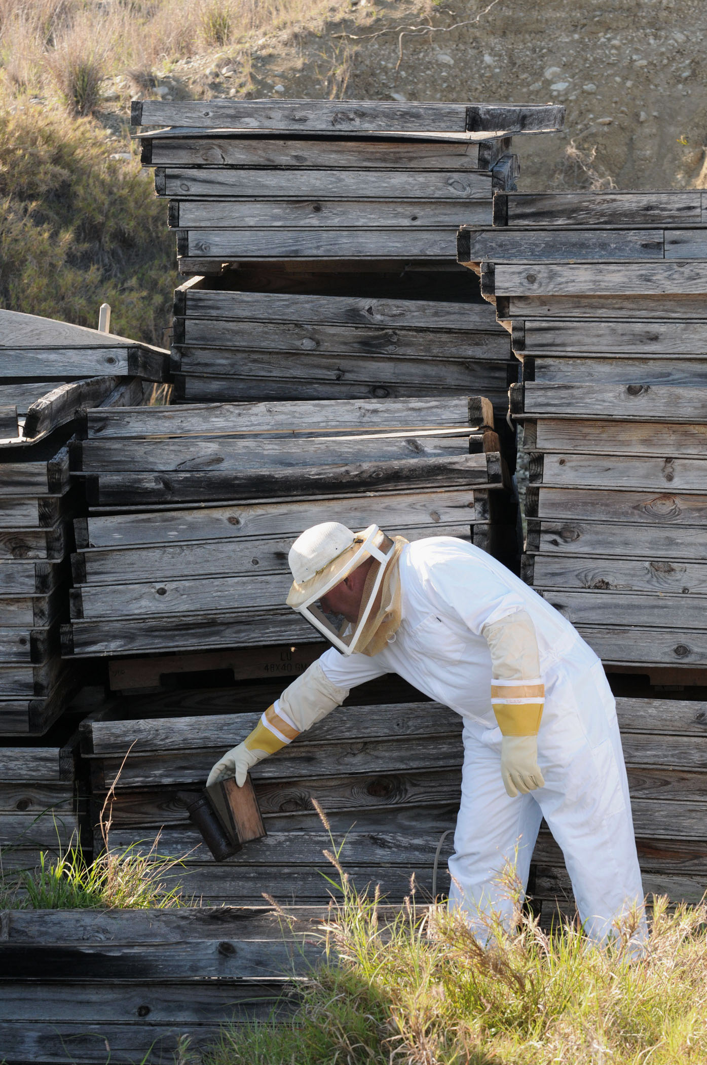 The bees' knees > Air Force > Features