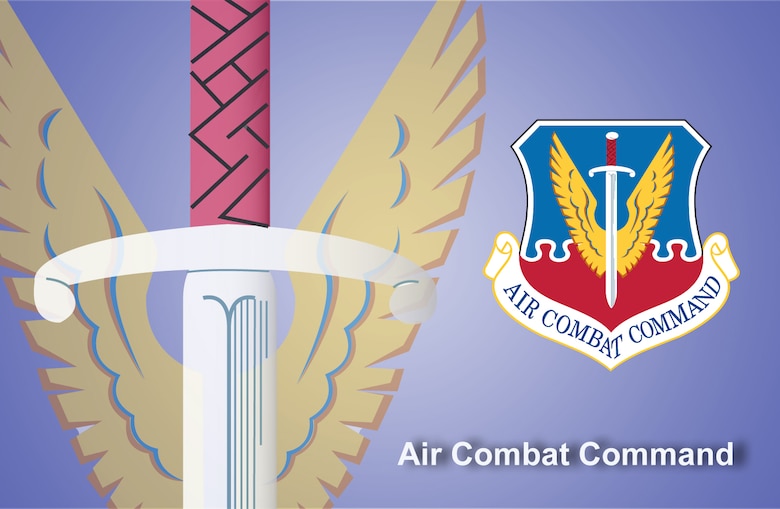 Air Combat Command > U.S. Air Force > Fact Sheet Display