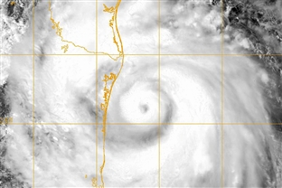 HURRICANE ALEX | U.S. Department of War