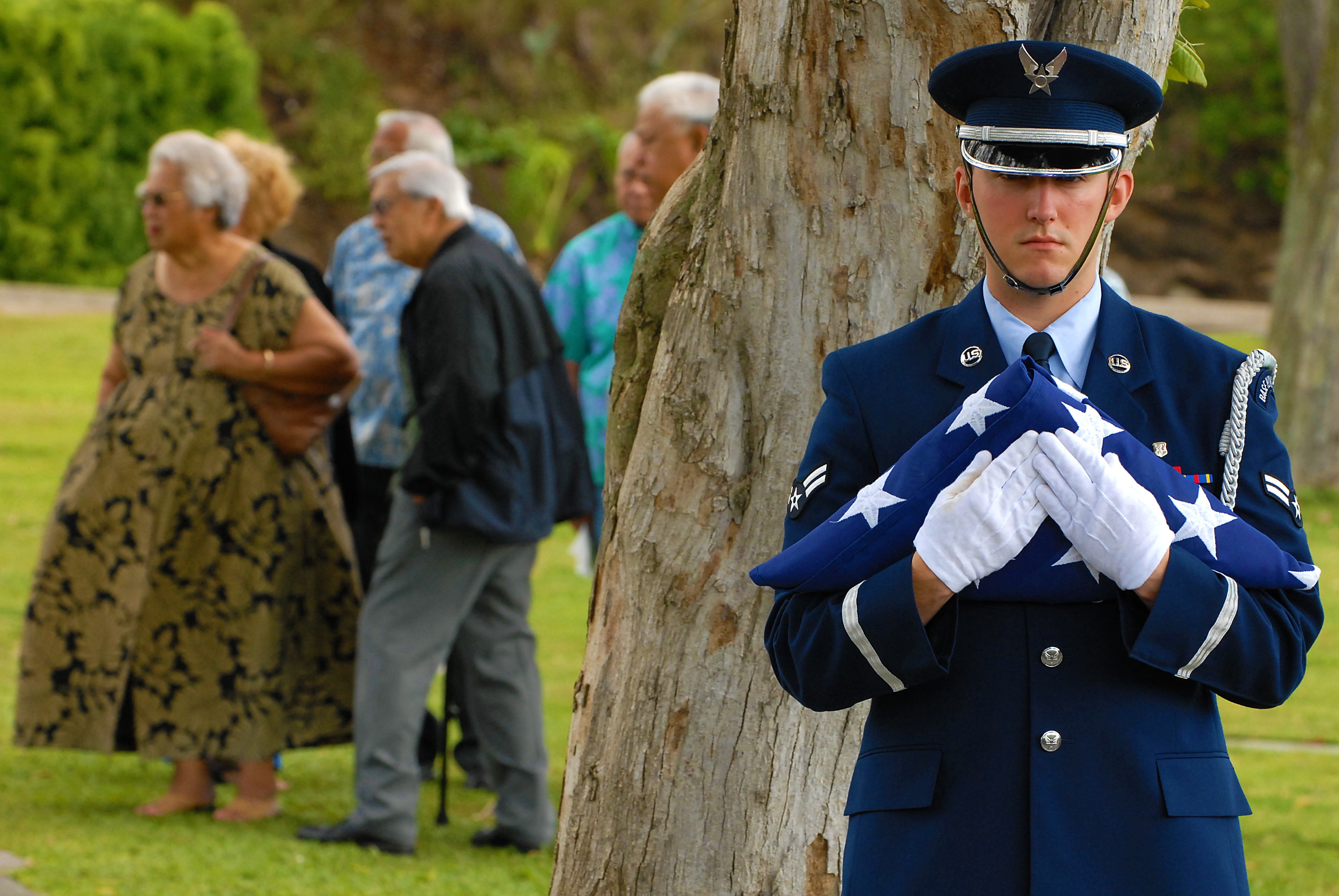 Honor guard service transforms Airmen > 15th Wing > Article Display