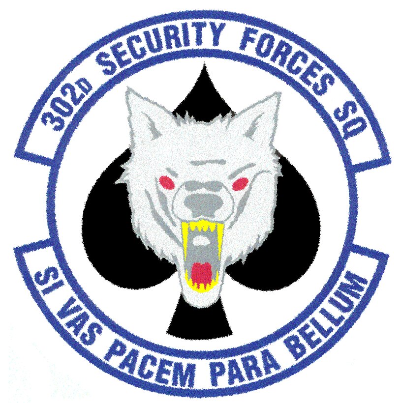 302nd SFS